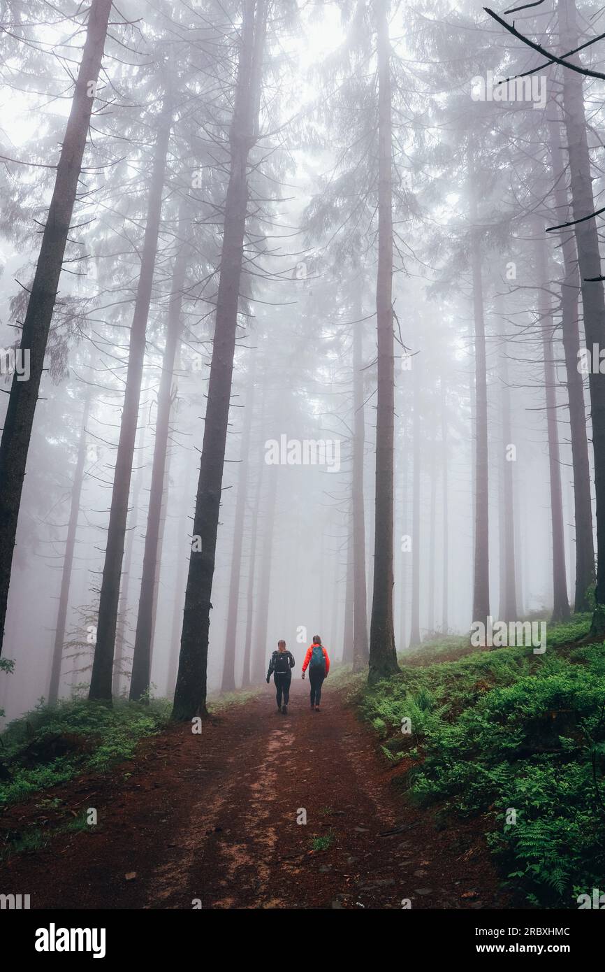 Two girls walk through a dark forest shrouded in a desolate grey mist ...