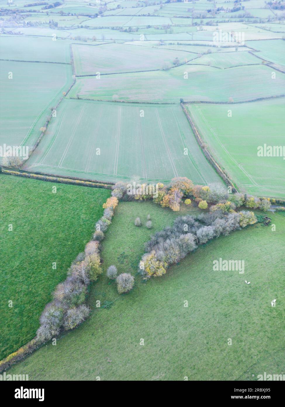 Aerial images of British farmland showing field boundaries and vehicle ...