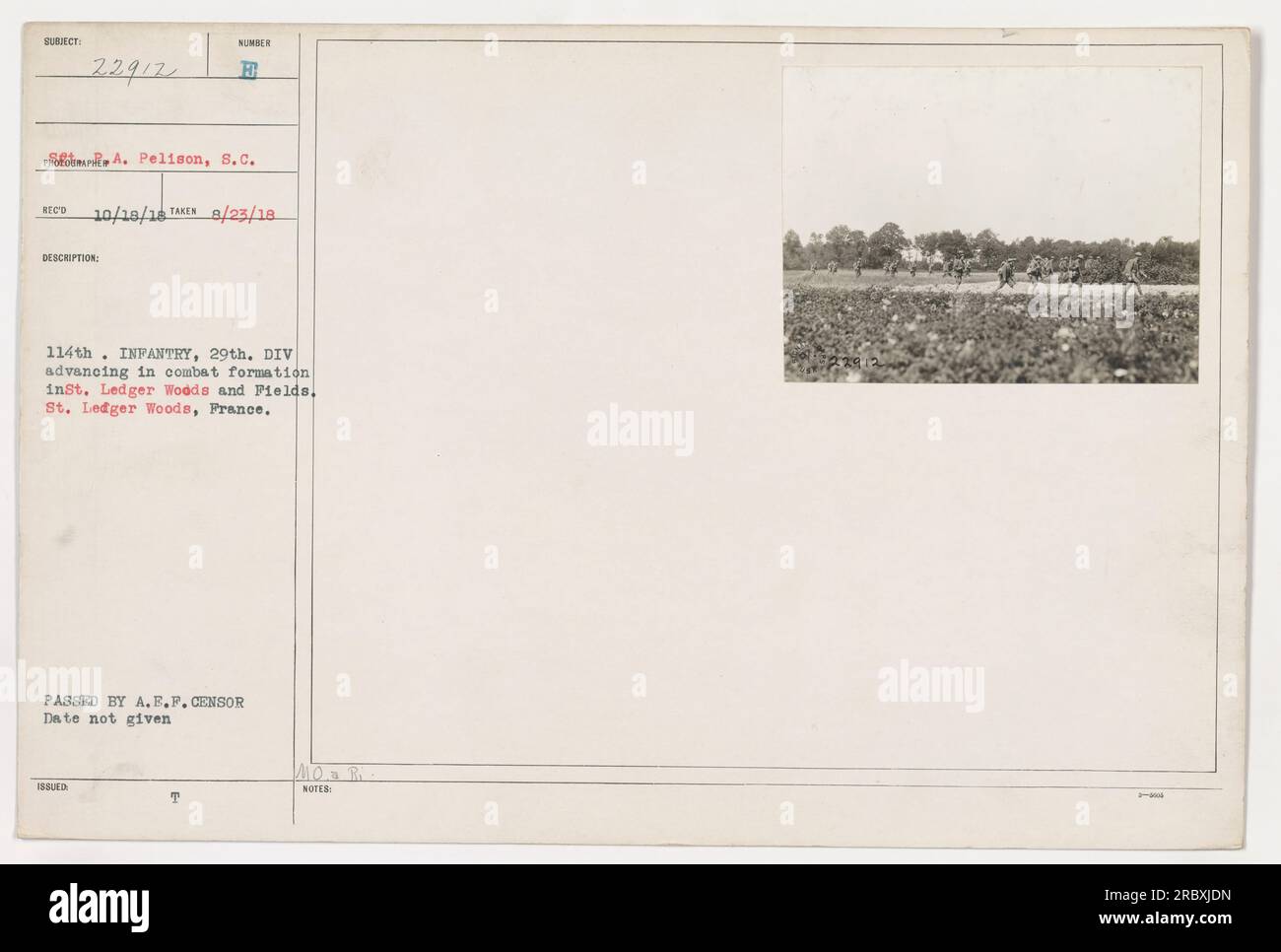 Ledger woods hi-res stock photography and images - Alamy