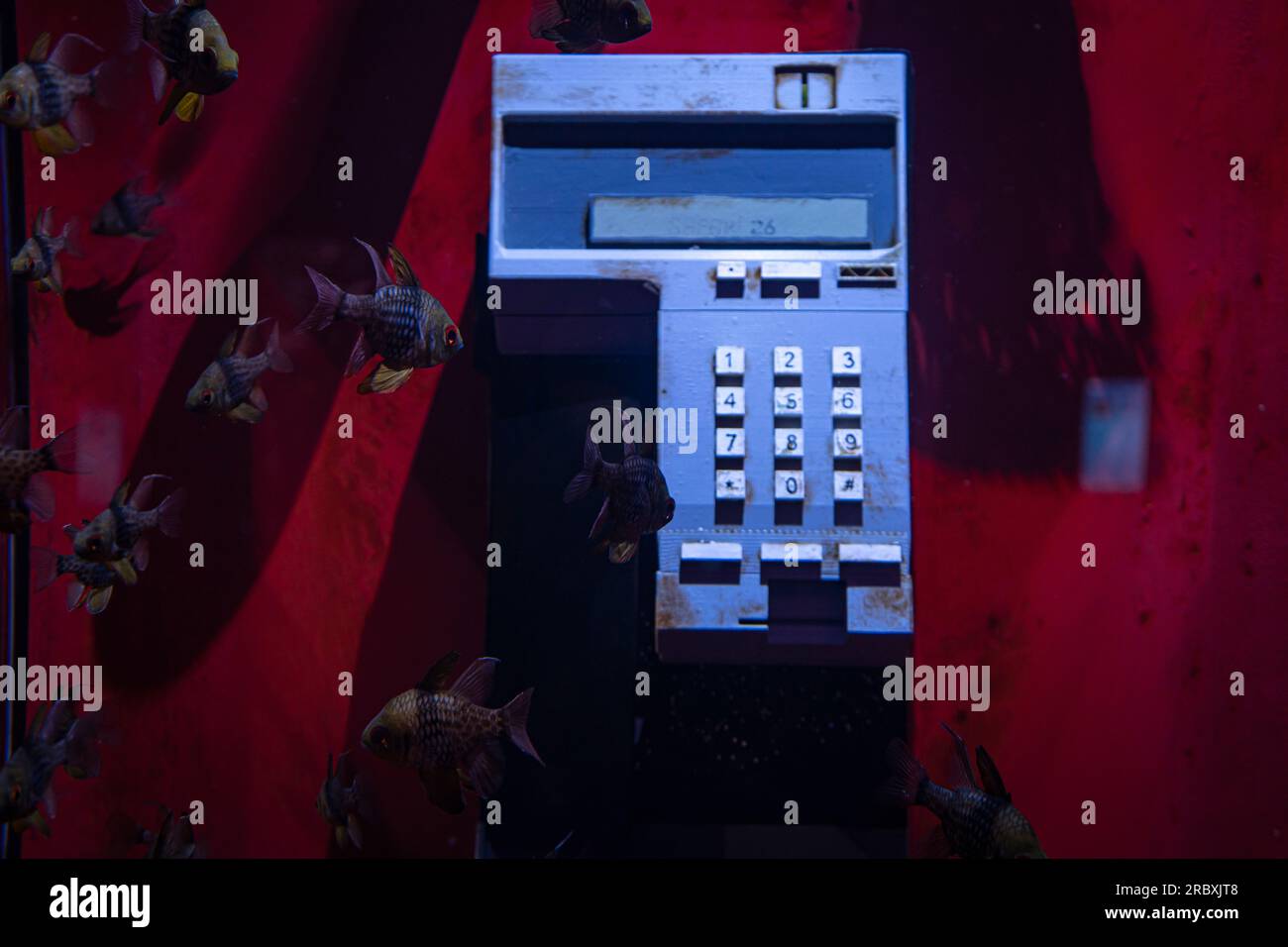 Phone booth inside hi-res stock photography and images - Alamy