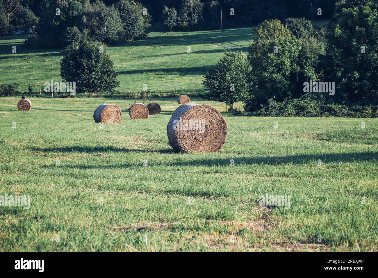Summer grass cutting and hay drying with modern tools. Agriculture and ...