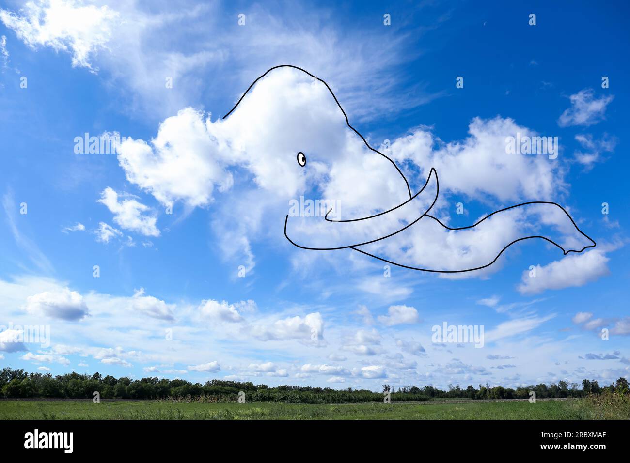 Imagination and creativity. Fluffy cloud in shape of elephant with ...