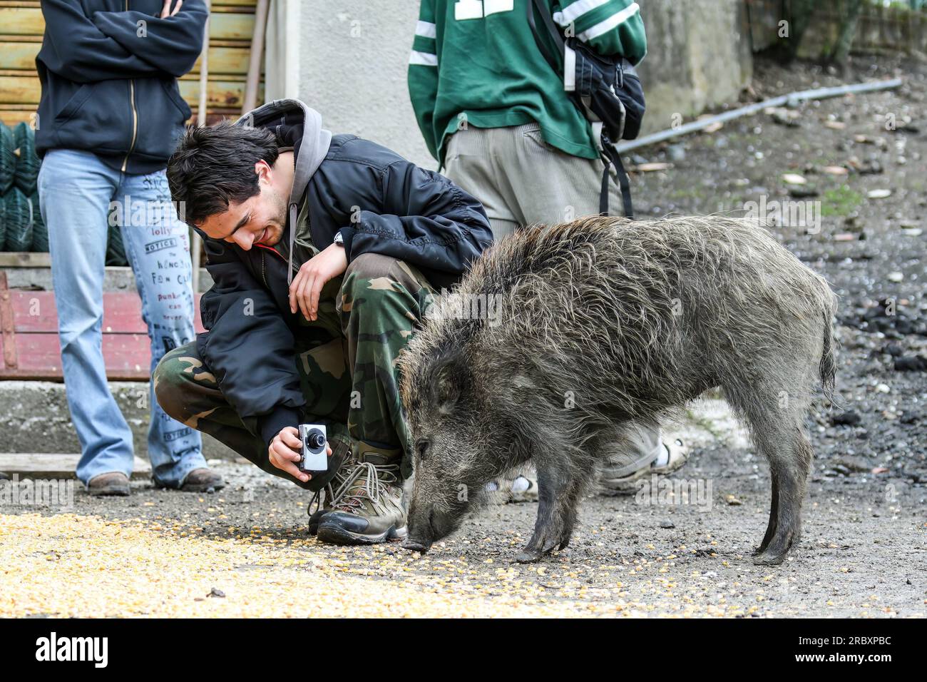 Interactions wildlife hi-res stock photography and images - Alamy