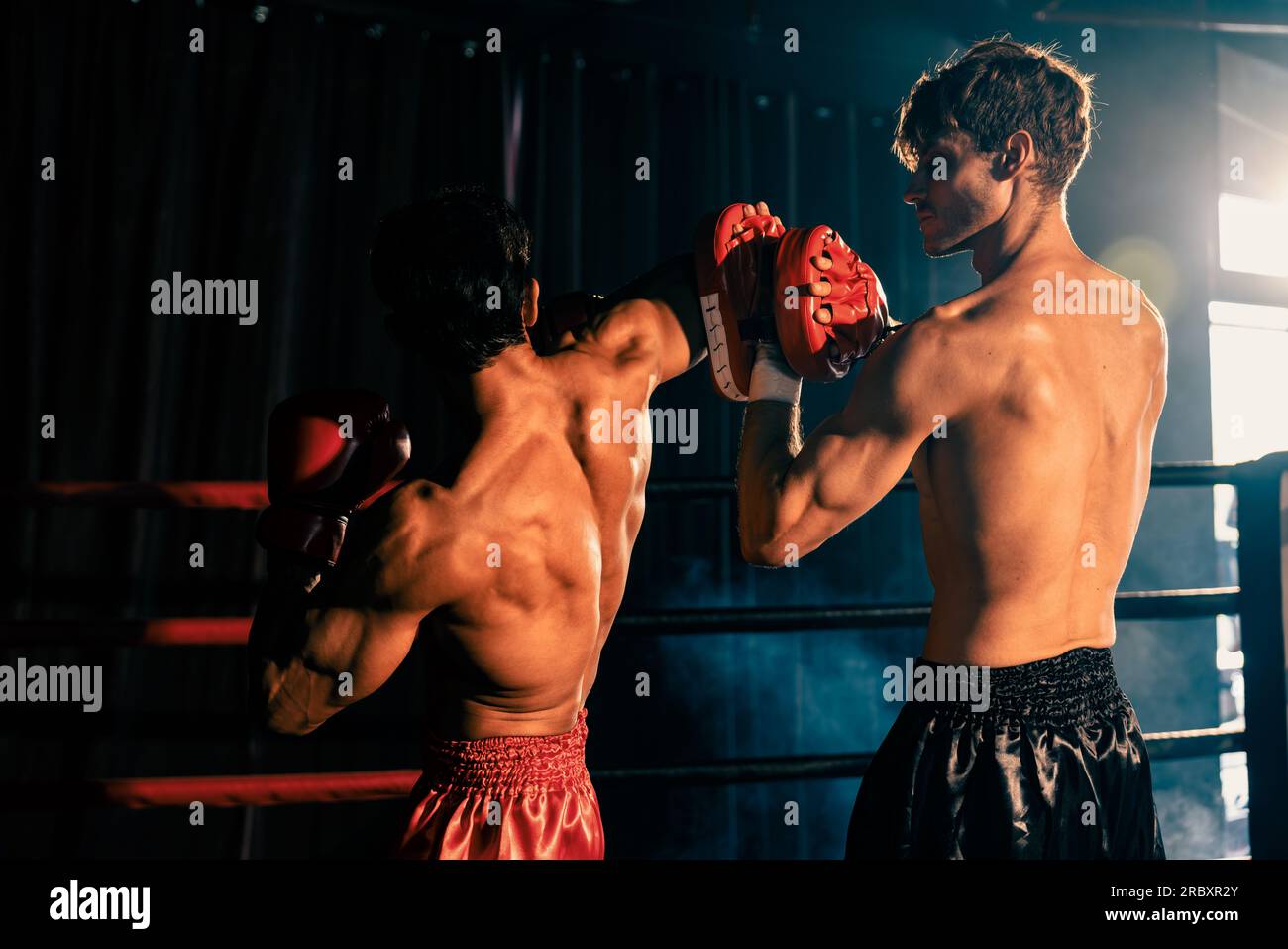 Person showcasing art hi-res stock photography and images - Alamy