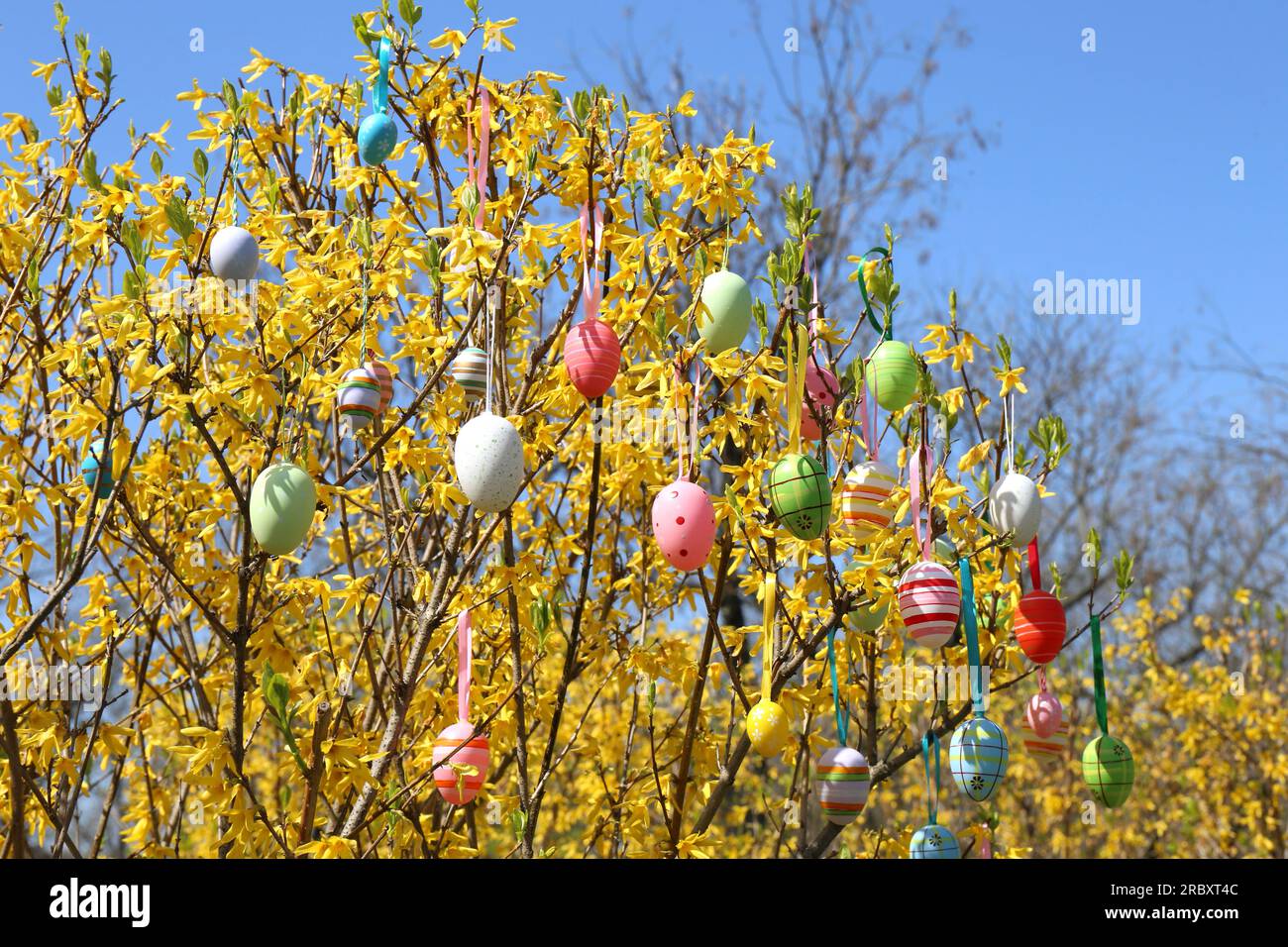Beautifully painted Easter eggs hanging on tree outdoors Stock Photo ...