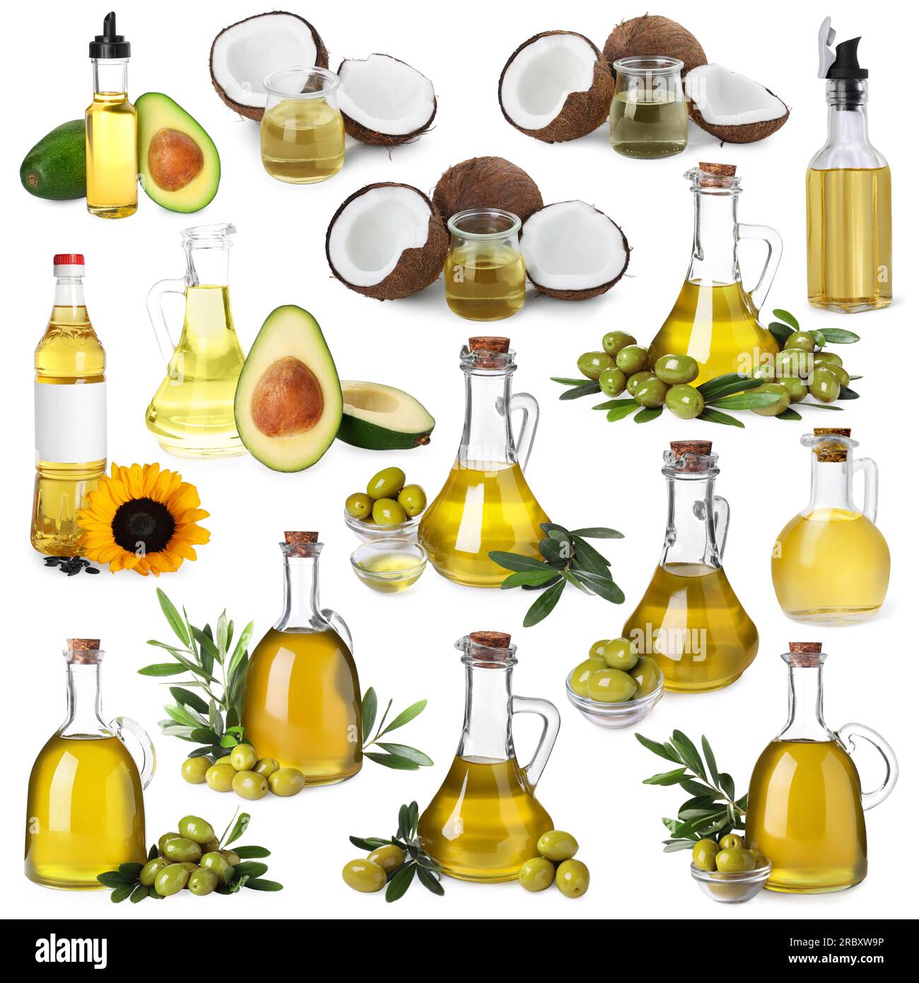 Collage with sunflower, avocado, coconut and olive oils isolated on ...