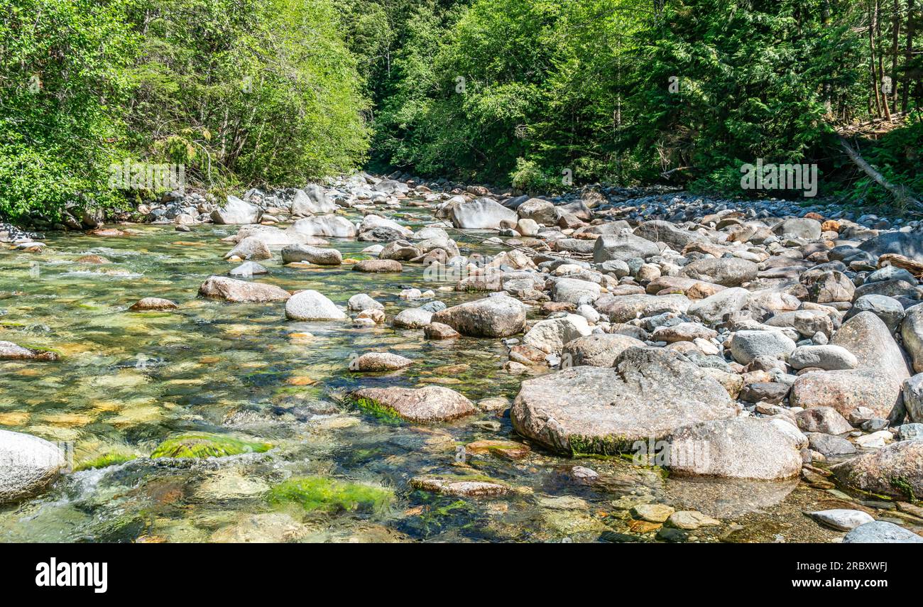 A view of clear water in Denny Creek in Washington State Stock Photo ...