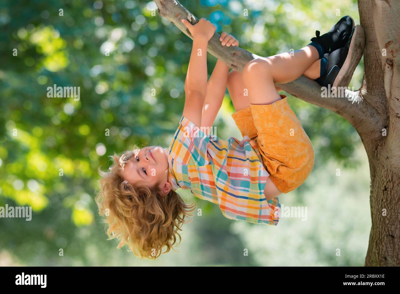 Child hugging a tree branch. Little boy kid on a tree branch. Kid ...