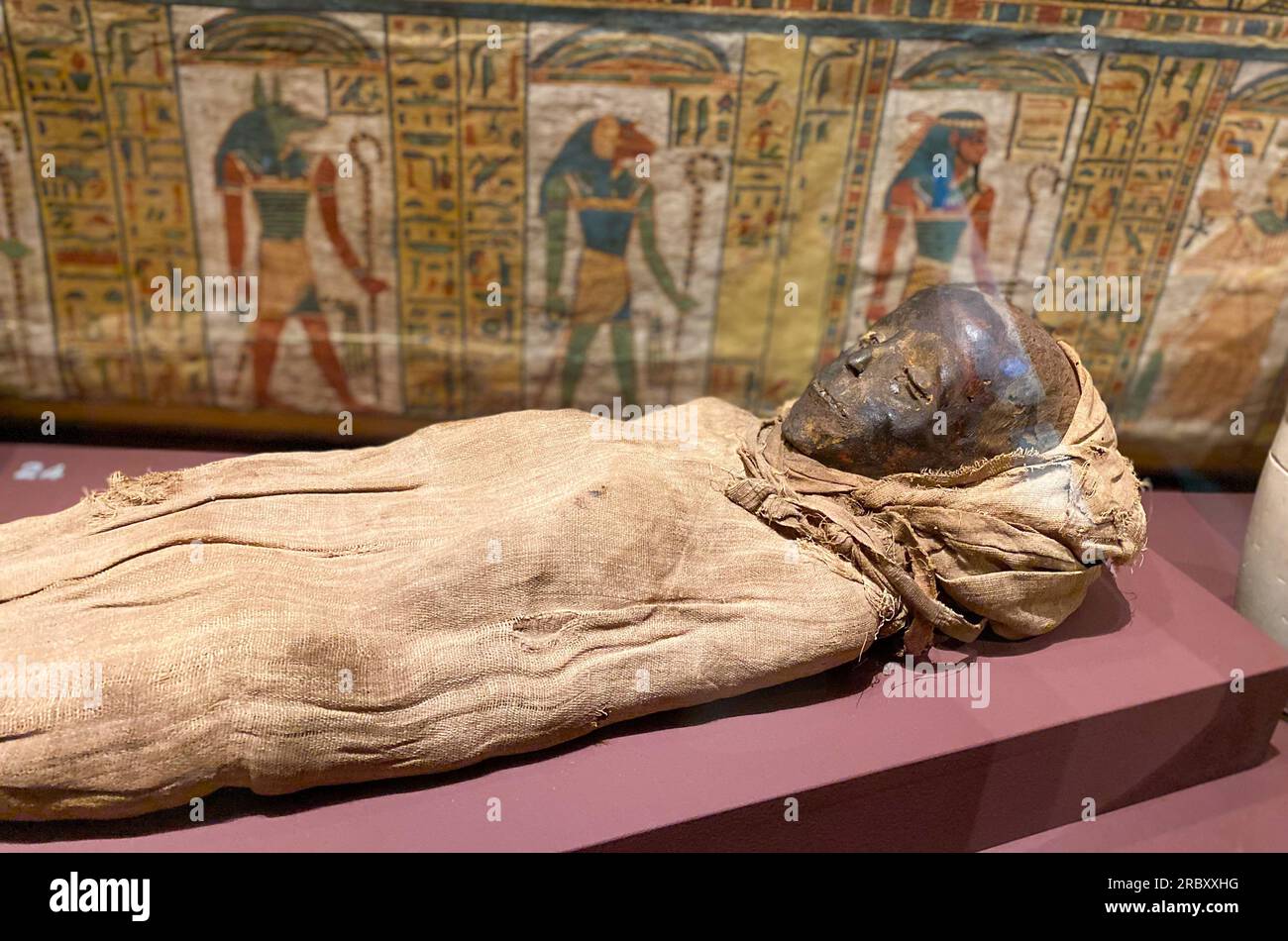 Stockholm, Sweden - June 11 2023: Egyptian Mummies and sarcophagus in ...
