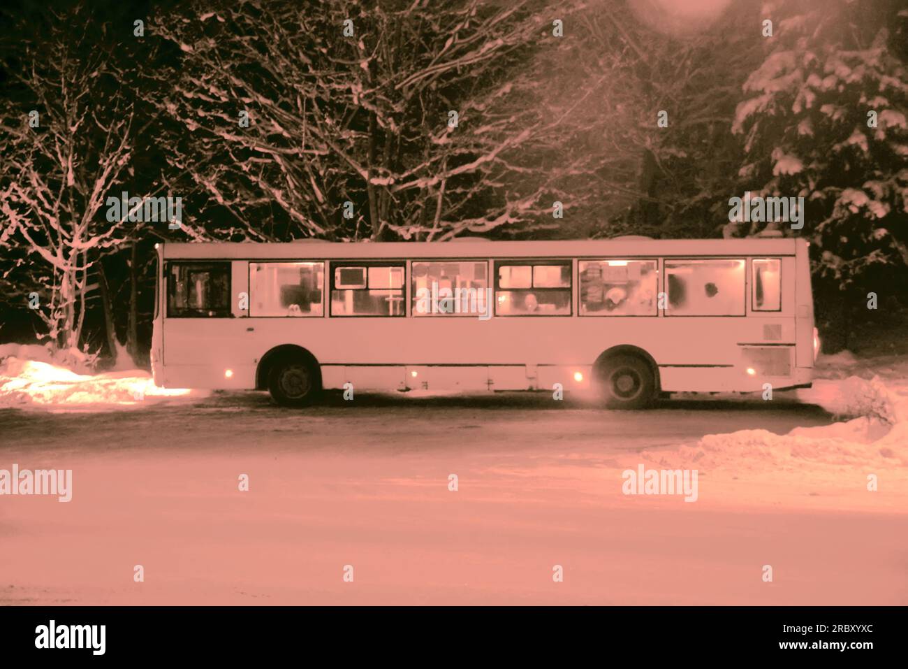 Night Bus A Lighted Bus On A Frosty Winter Night Special Vehicles For The Nordic Countries