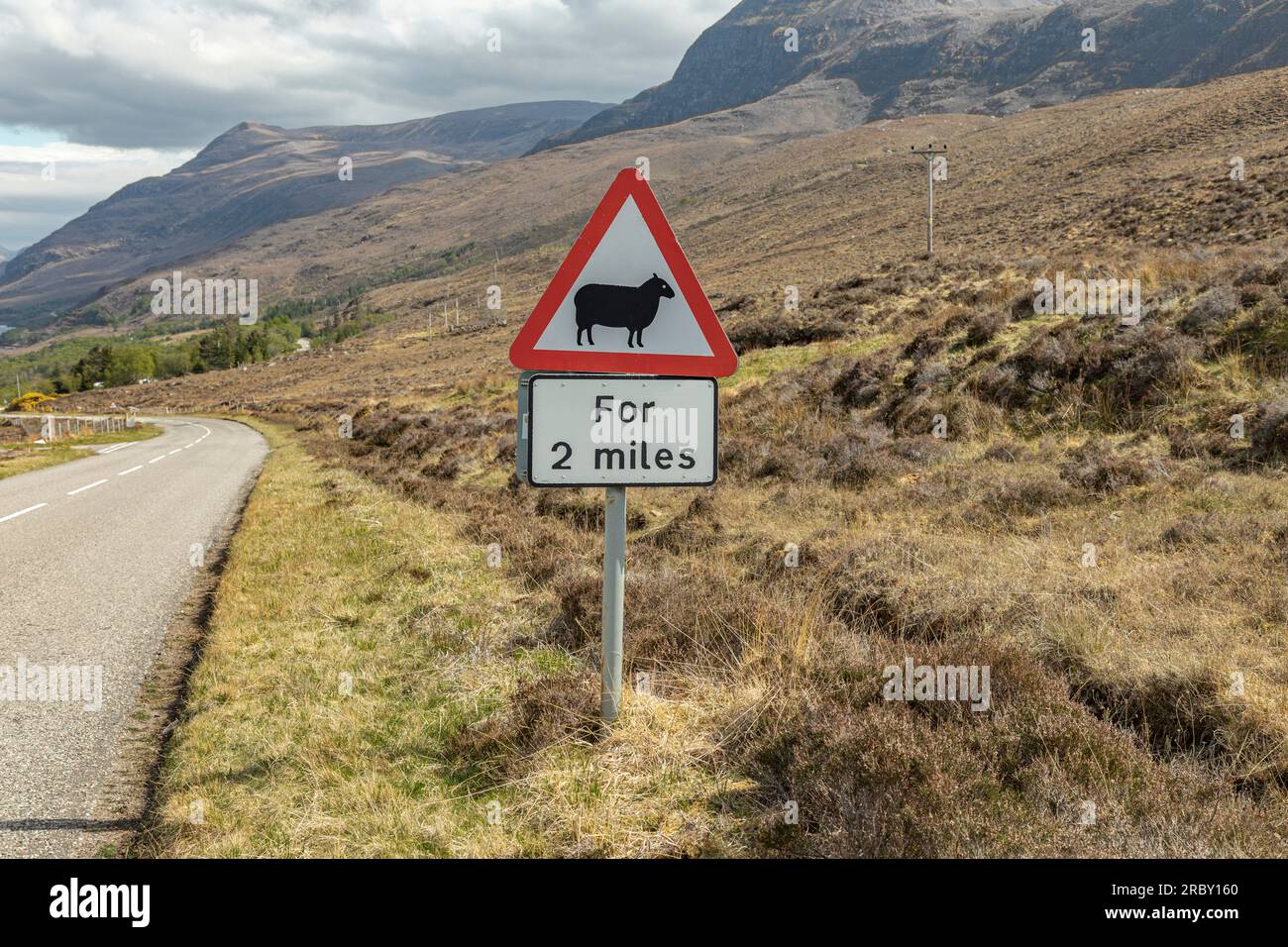 Sign warning of loose sheep in the Scottish Highlands by the side of ...