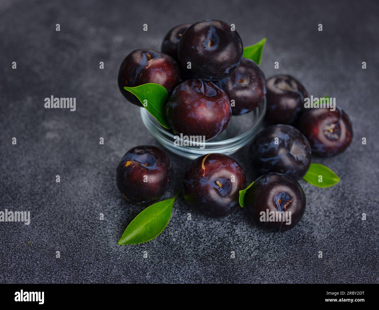 Sweet plums on dark background. Fresh blue plums with leaves. Food ...
