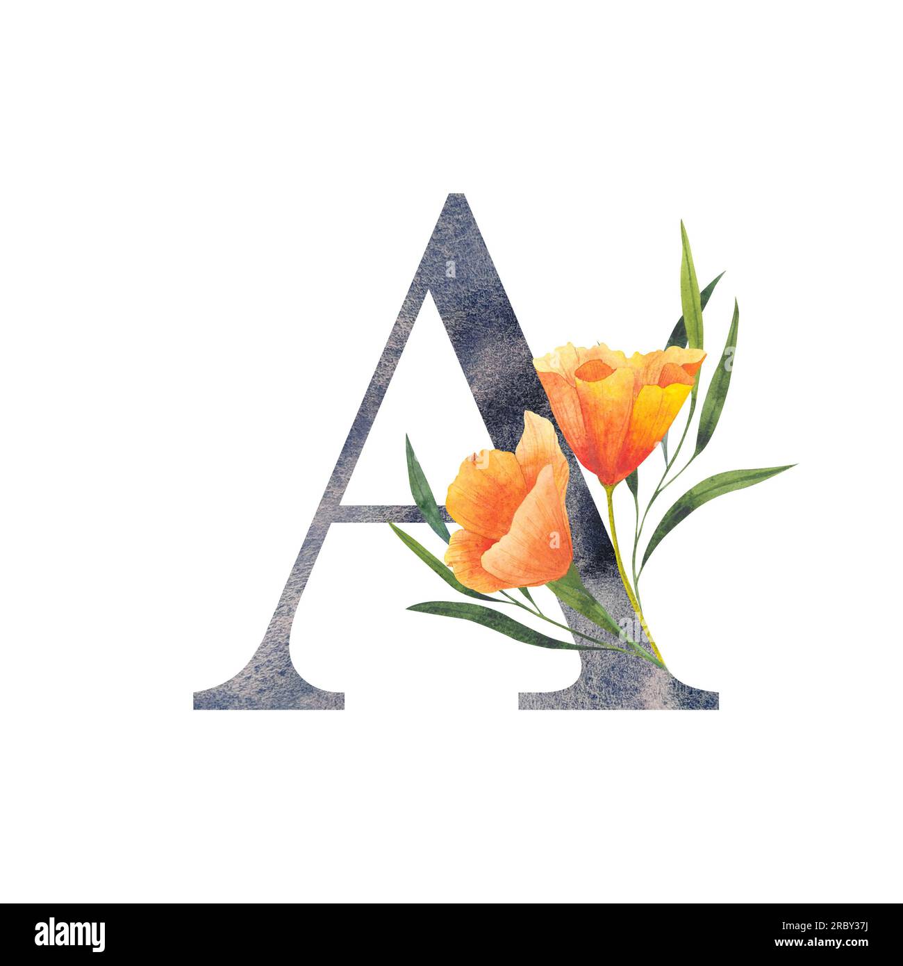 Letter A with watercolor wildflowers. Floral alphabet, set isolated ...