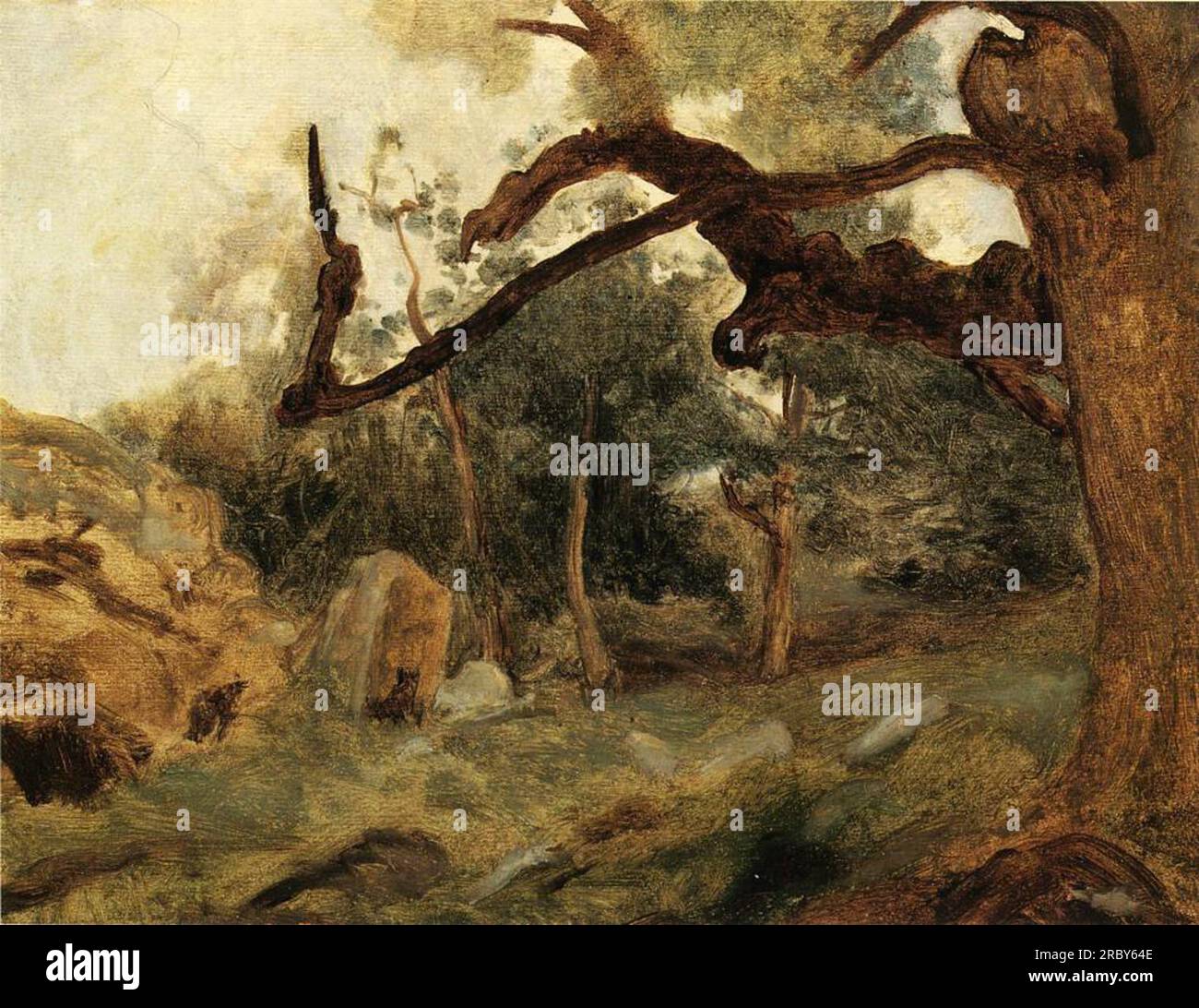 L Arbre Tordu, Les Chenes du Mont Usey, Fontainebleau 1855 by Camille ...