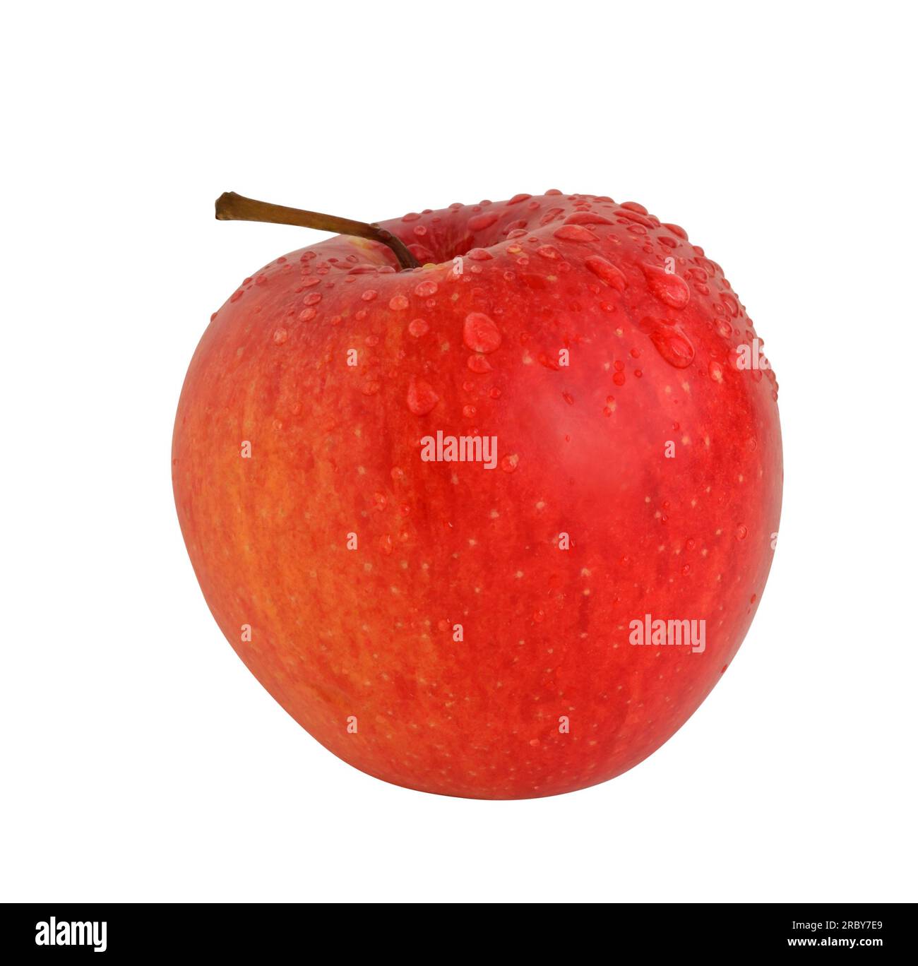 Red apple with water drops isolated on white background Stock Photo - Alamy