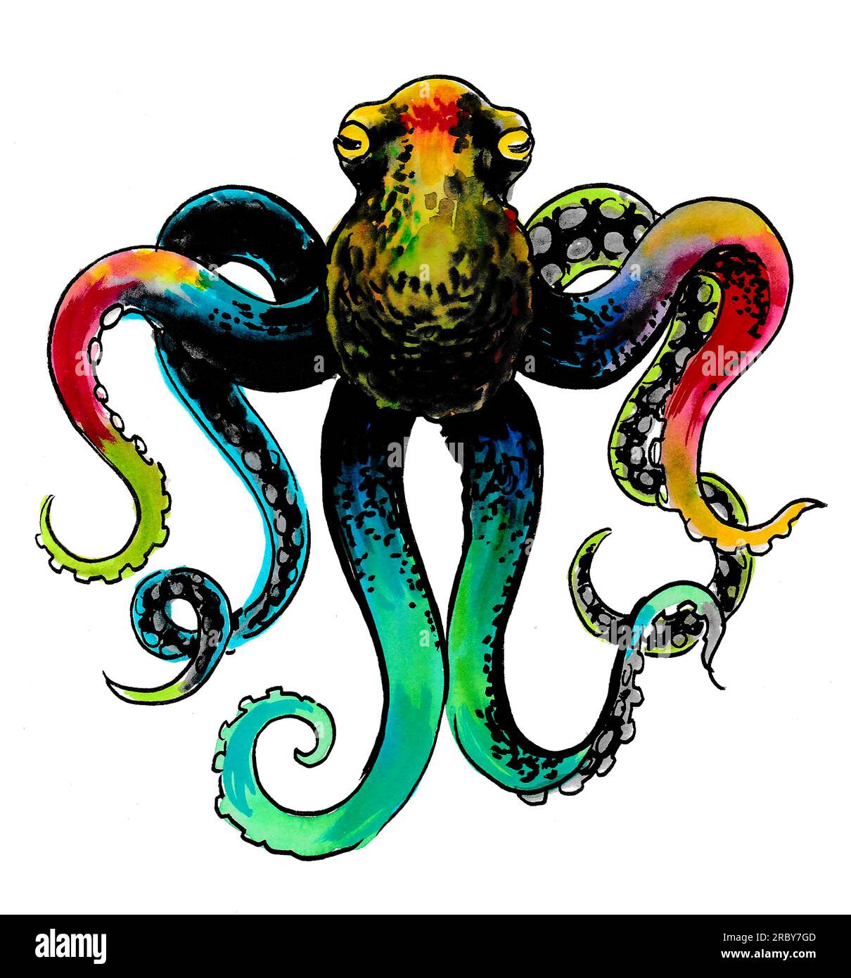 Octopus ink hi-res stock photography and images - Alamy