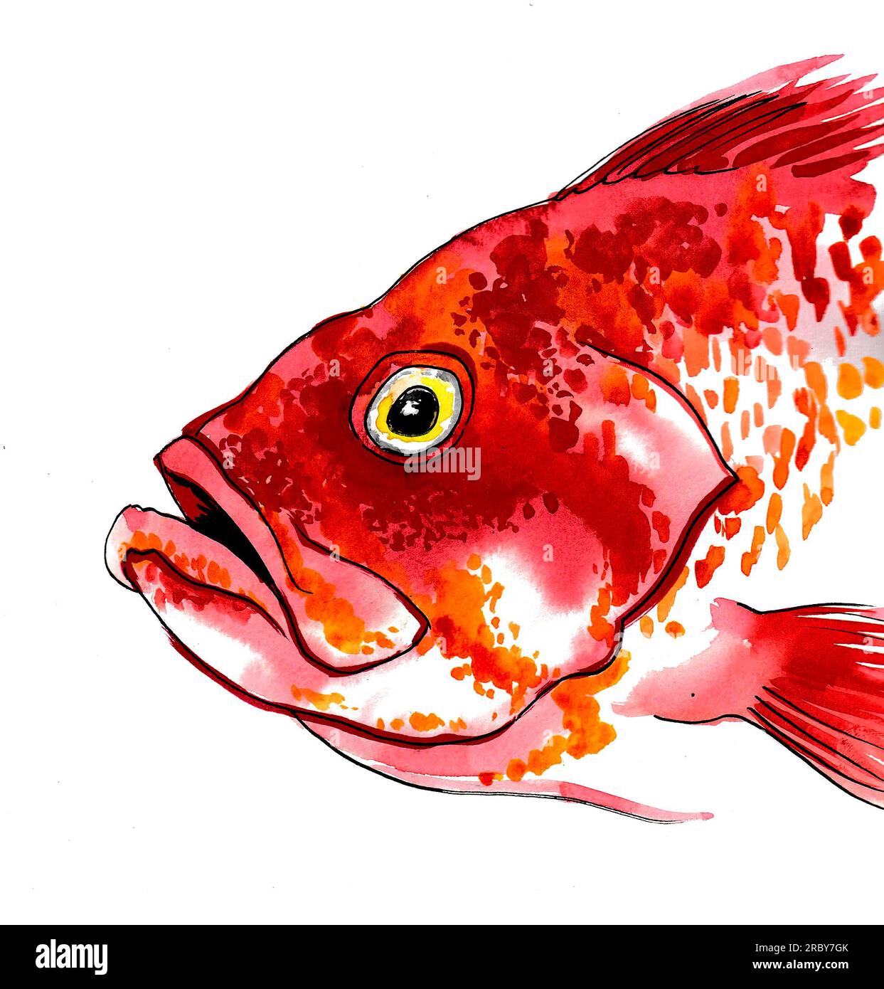 Cartoon fish head Cut Out Stock Images & Pictures - Alamy