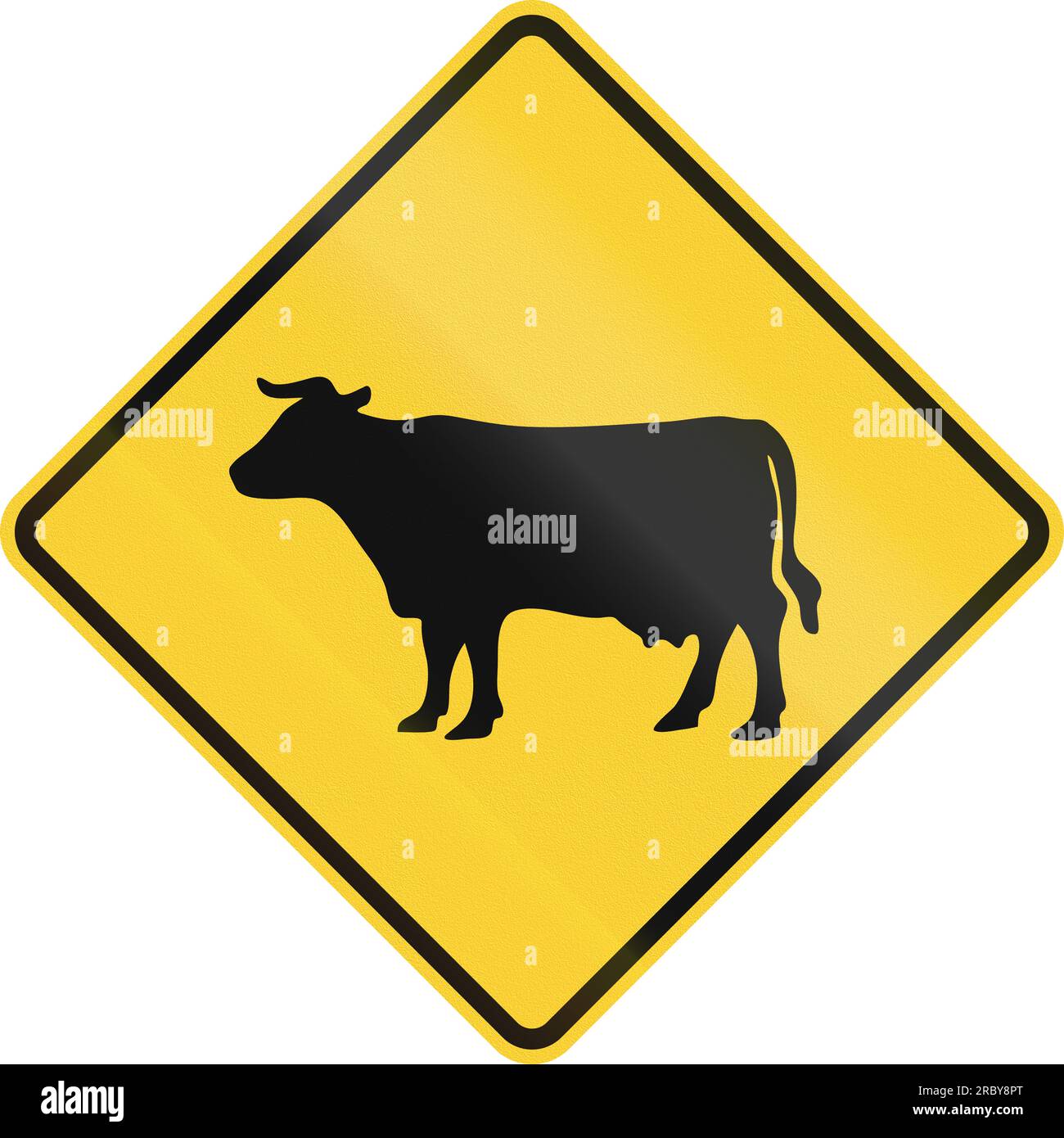US road warning sign: Cattle crossing Stock Photo - Alamy