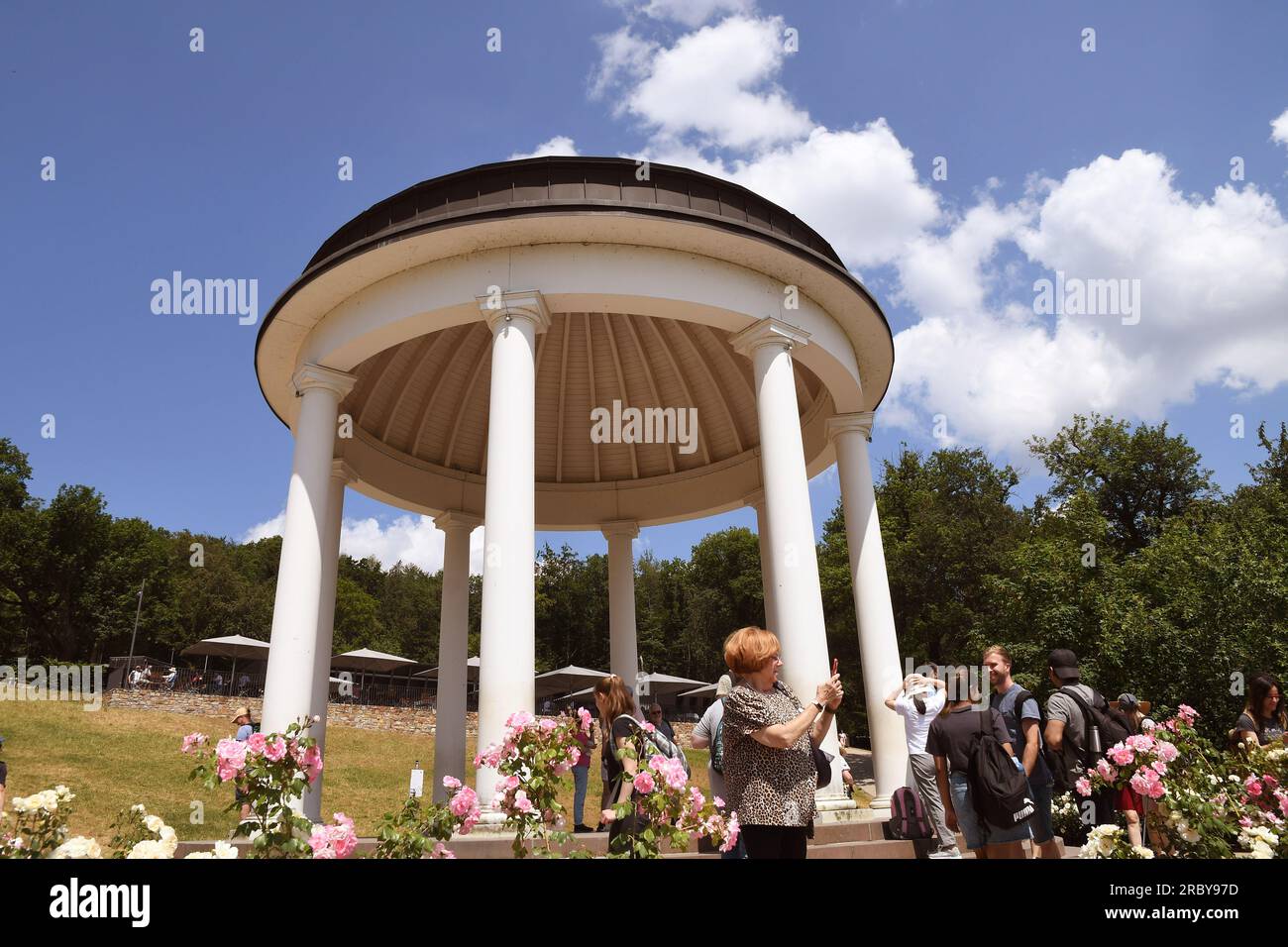 Rheingaus hi-res stock photography and images - Alamy