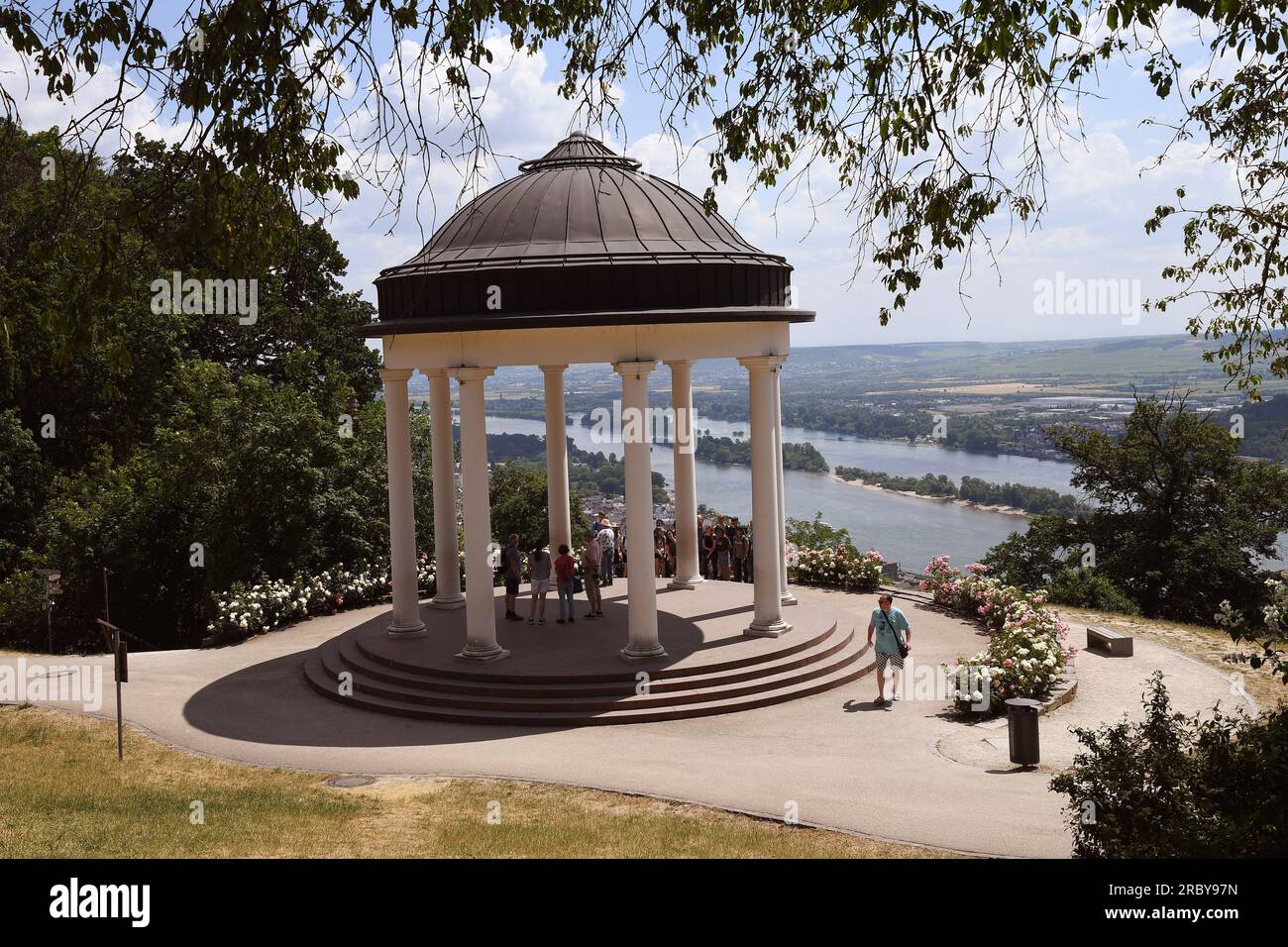 Rheingaus hi-res stock photography and images - Alamy