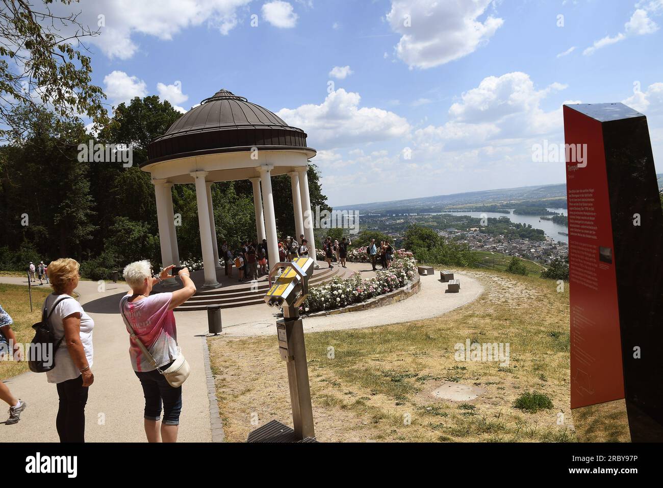 Rheingaus hi-res stock photography and images - Alamy