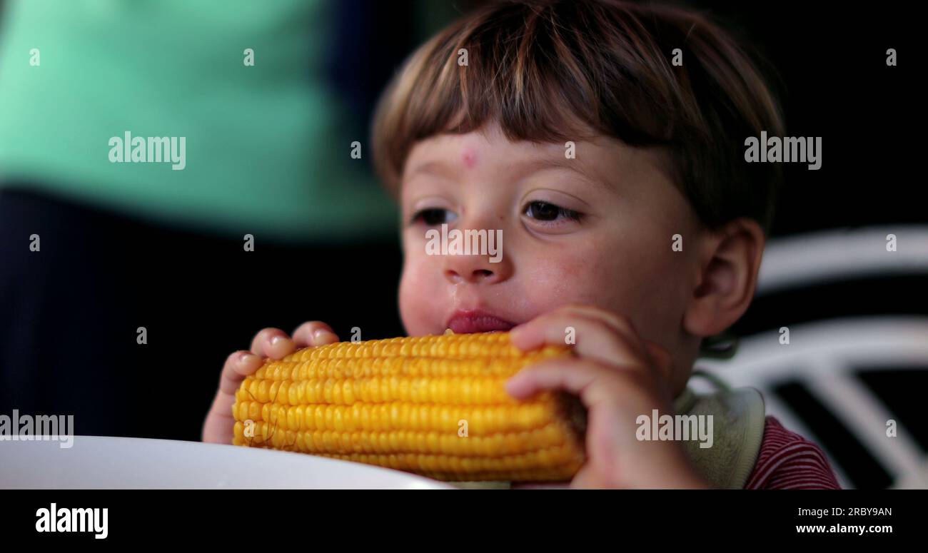 One small boy eating corn child eats healthy food for lunch Stock Photo ...