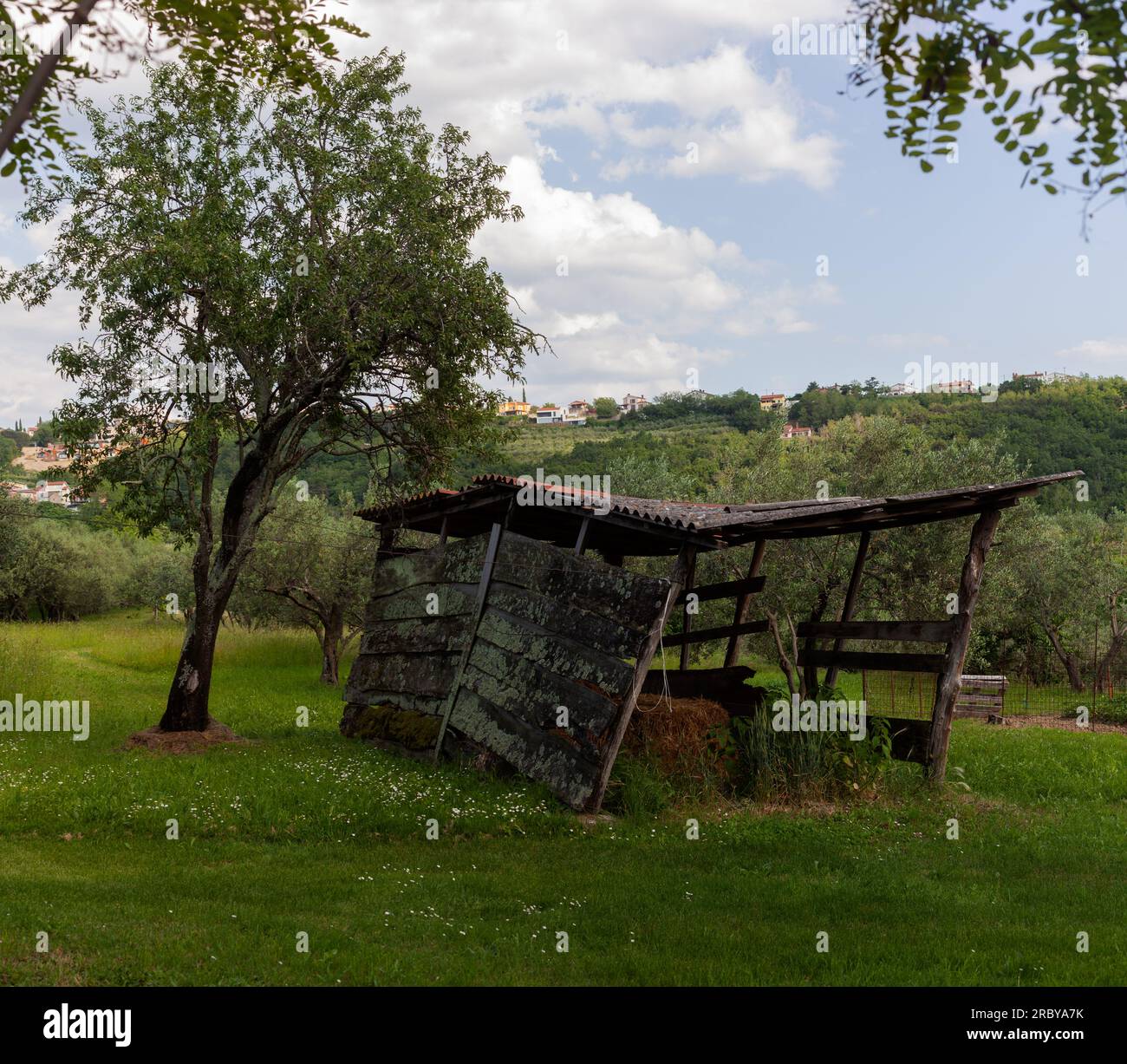 Old Wooden Shack in the Slovenian farm Stock Photo - Alamy