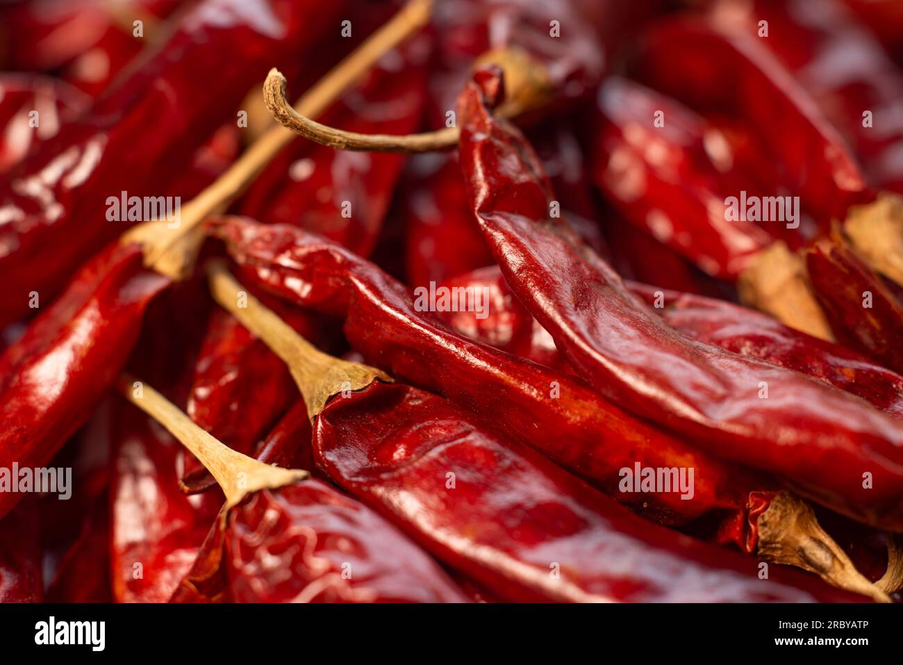 Bright Red dried red chillies are display on white background Stock ...
