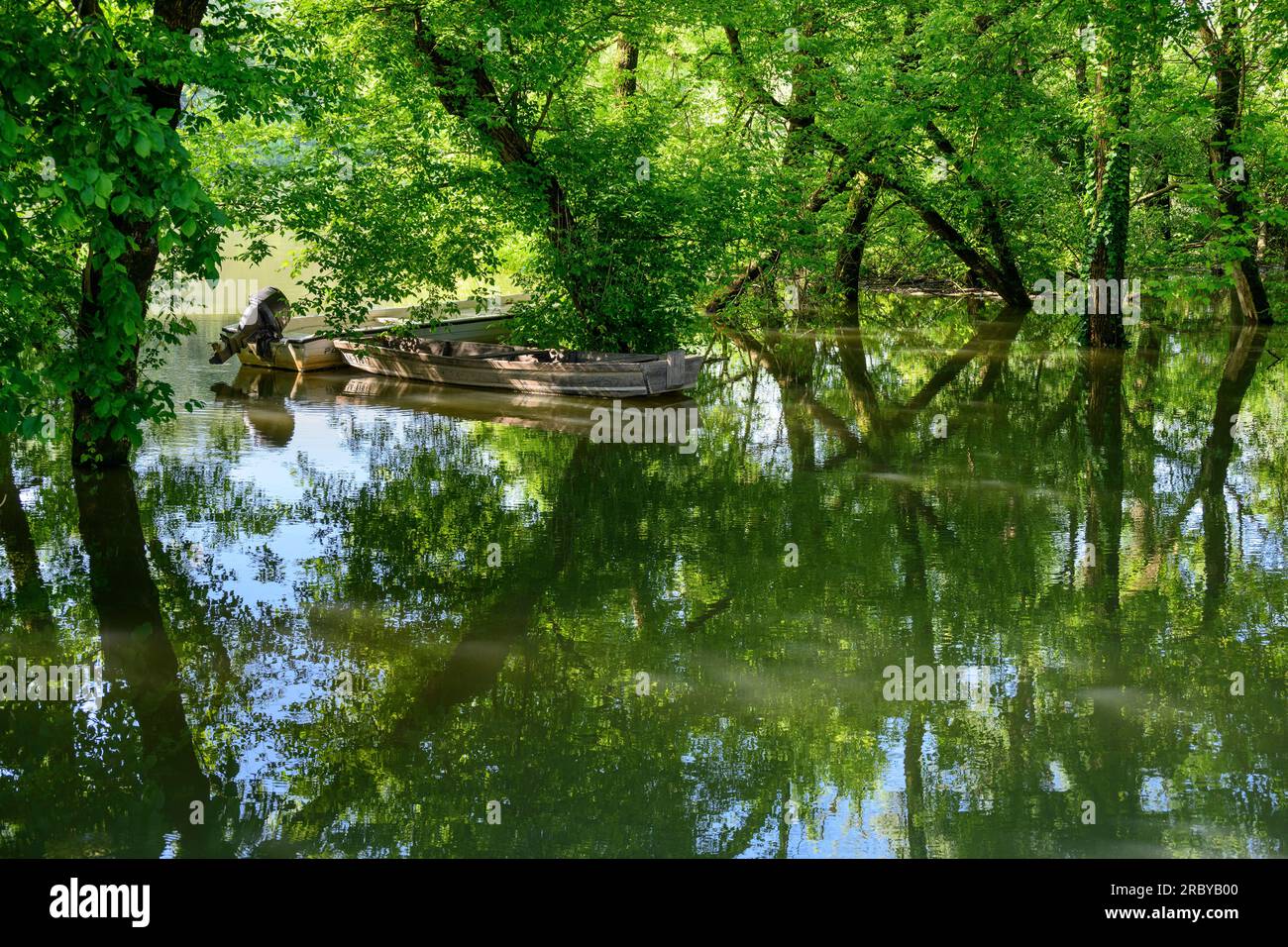 fishing dinghys and reflections on the flooded banks of the Sava river ...