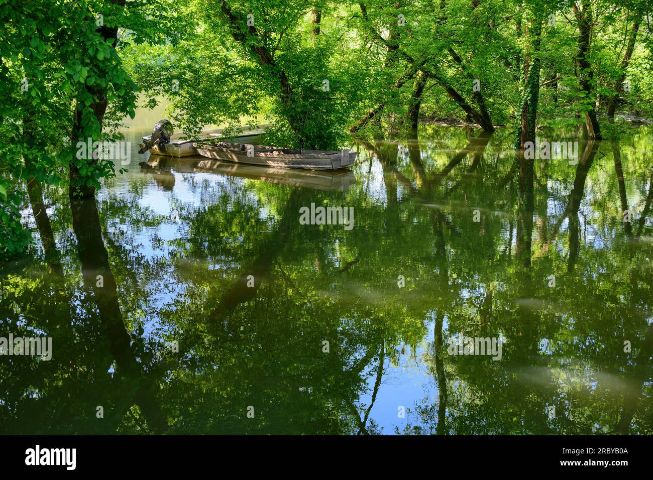 fishing dinghys and reflections on the flooded banks of the Sava river ...