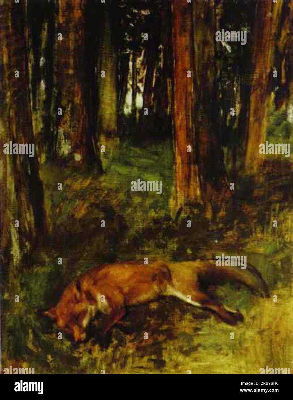 Dead fox lying in the Undergrowth 1865 by Edgar Degas Stock Photo - Alamy