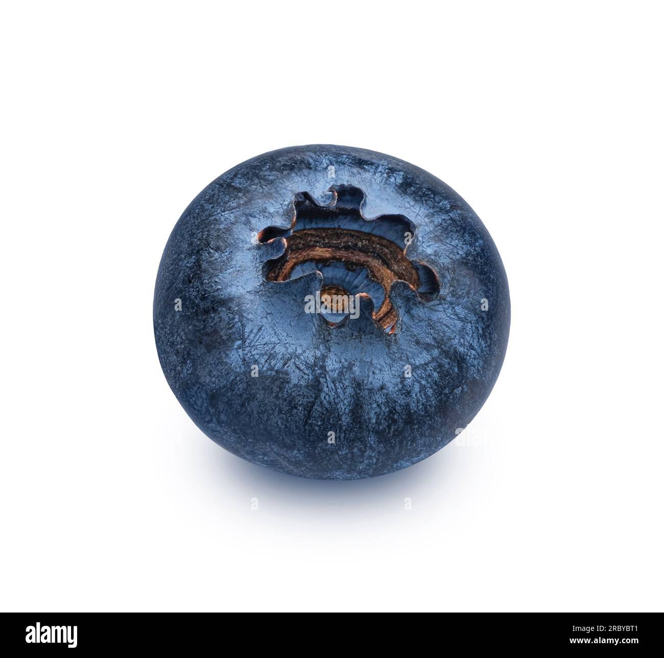 One blueberry isolated on white background, full depth of field Stock ...