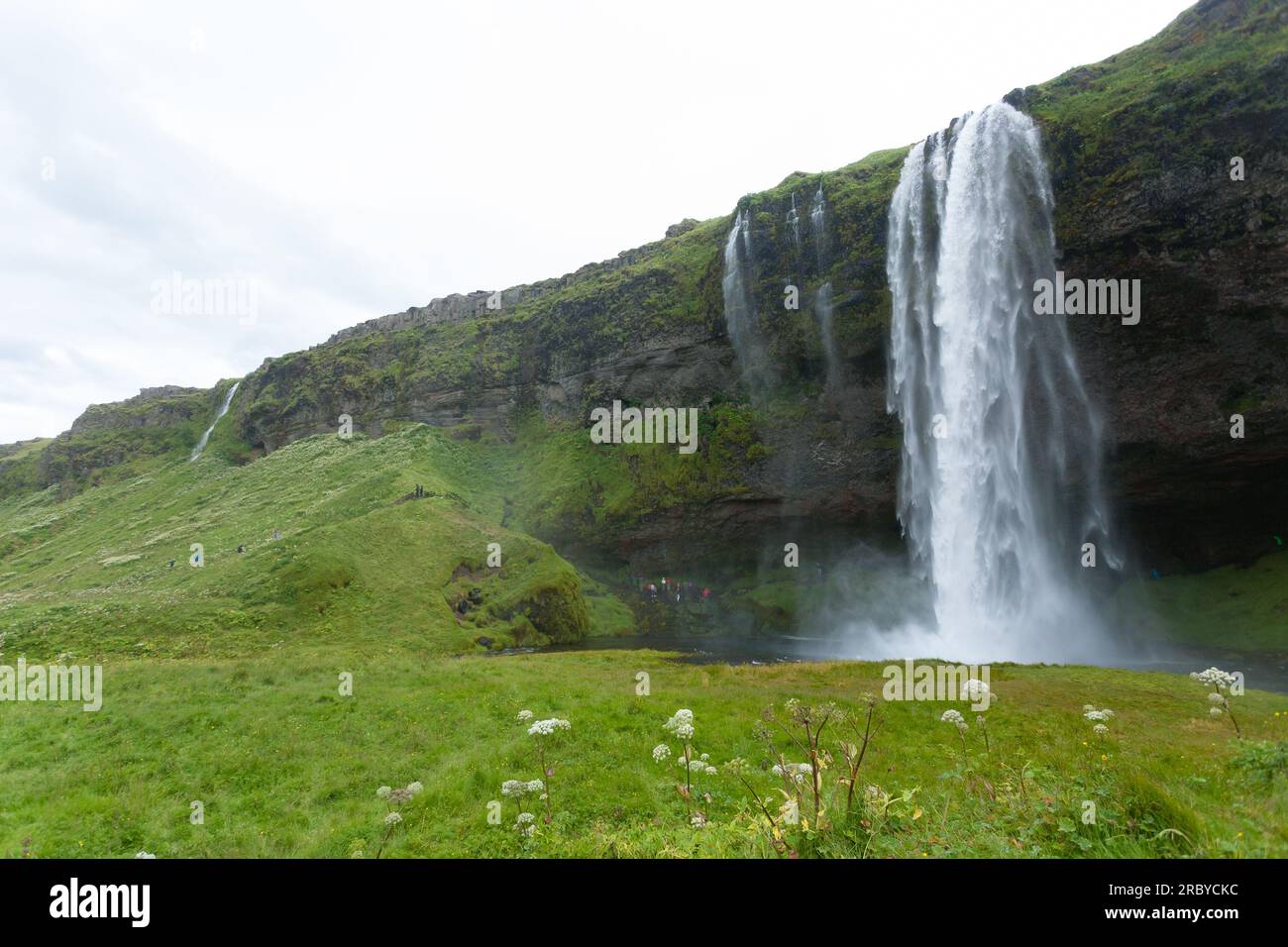 Seljalandsfoss falls in summer season view, Iceland. Icelandic ...