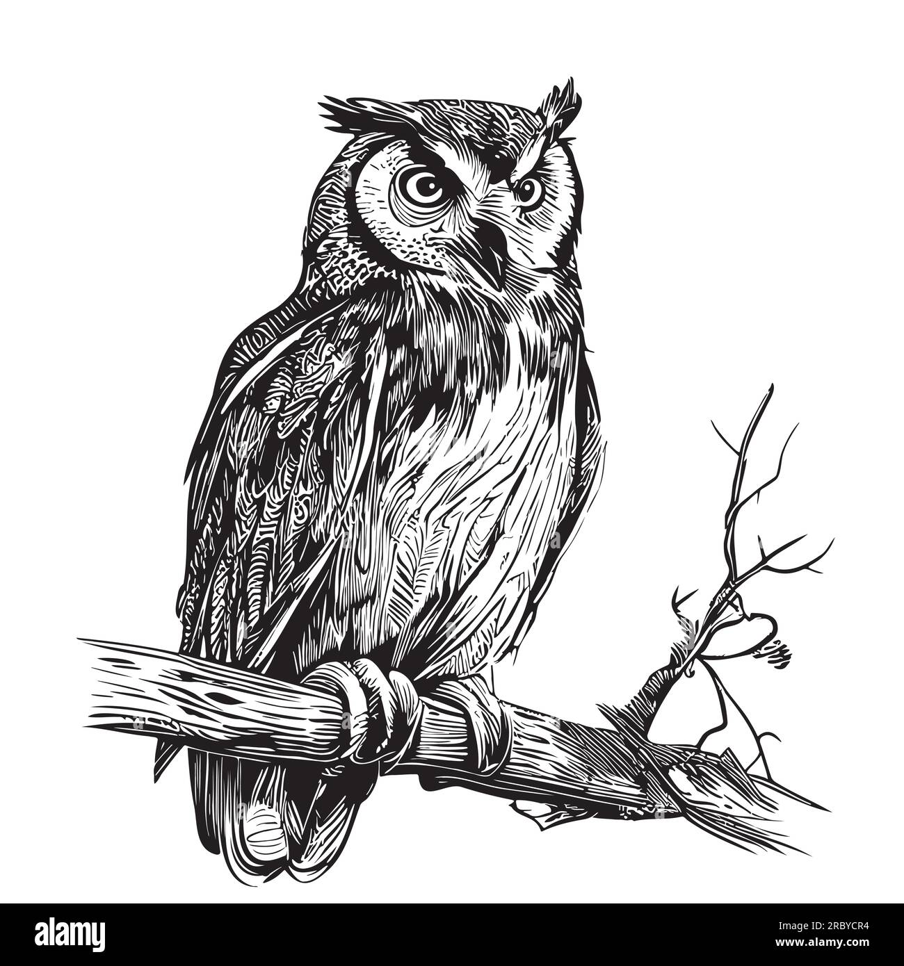 Owl bird on a branch sketch hand drawn in doodle style illustration ...