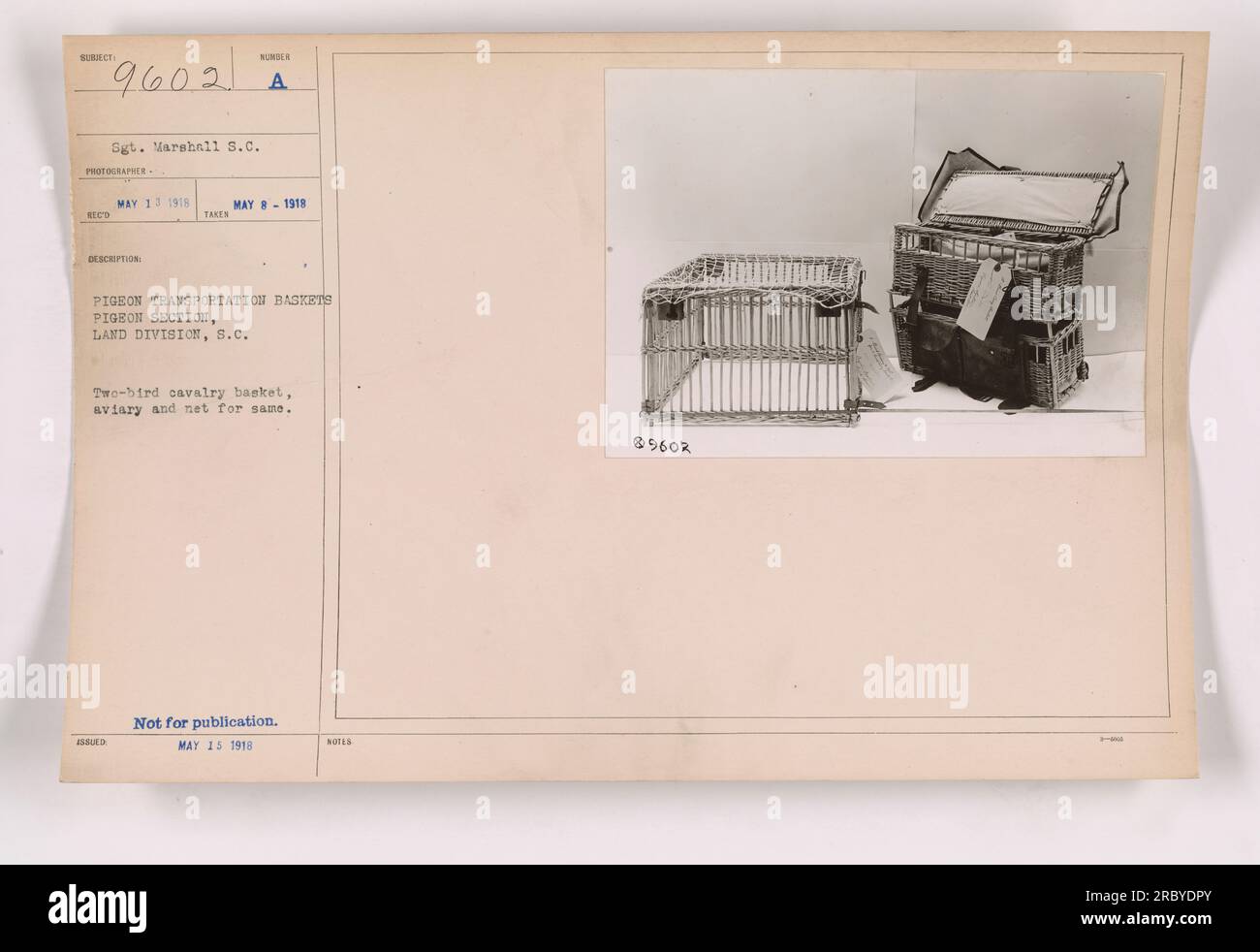 A photograph taken in May 1918 shows a pigeon transportation setup used ...