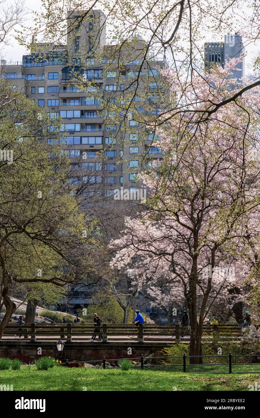 New York, USA - April 13, 2023: View of Manhattan's Central Park in ...
