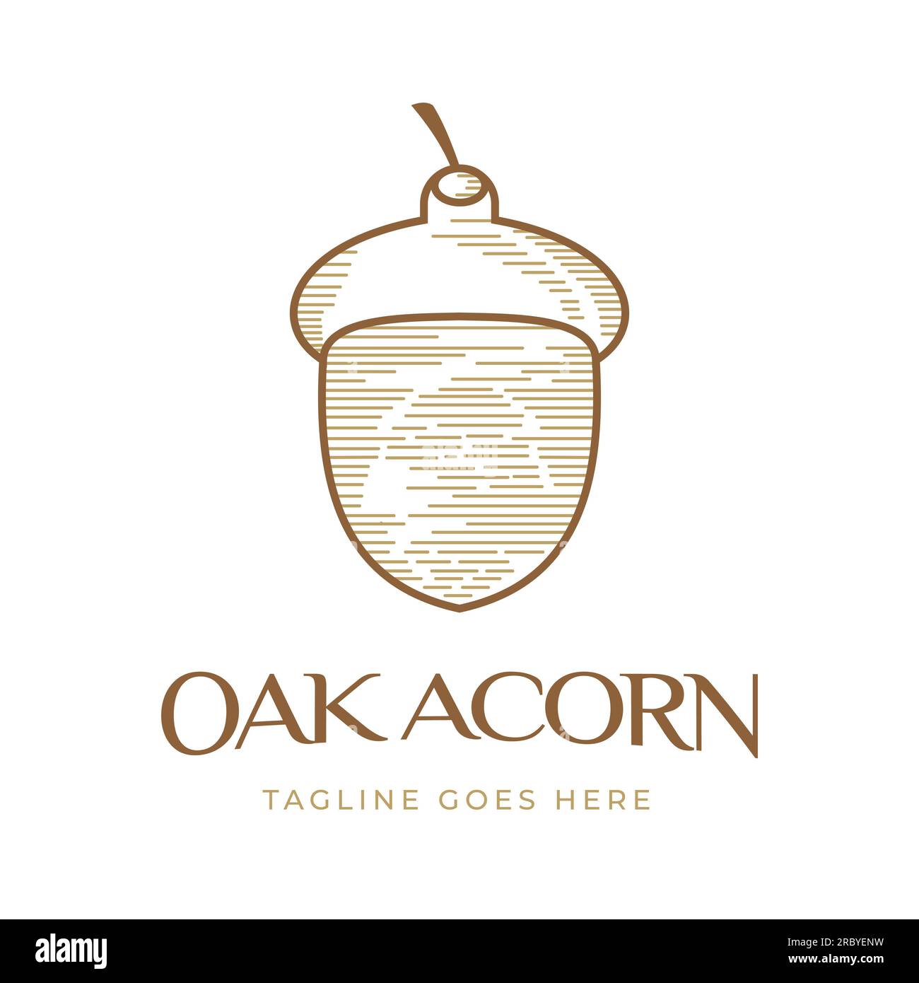 Oak Nut Acorn vintage retro Antique illustration with Retro Icon ...