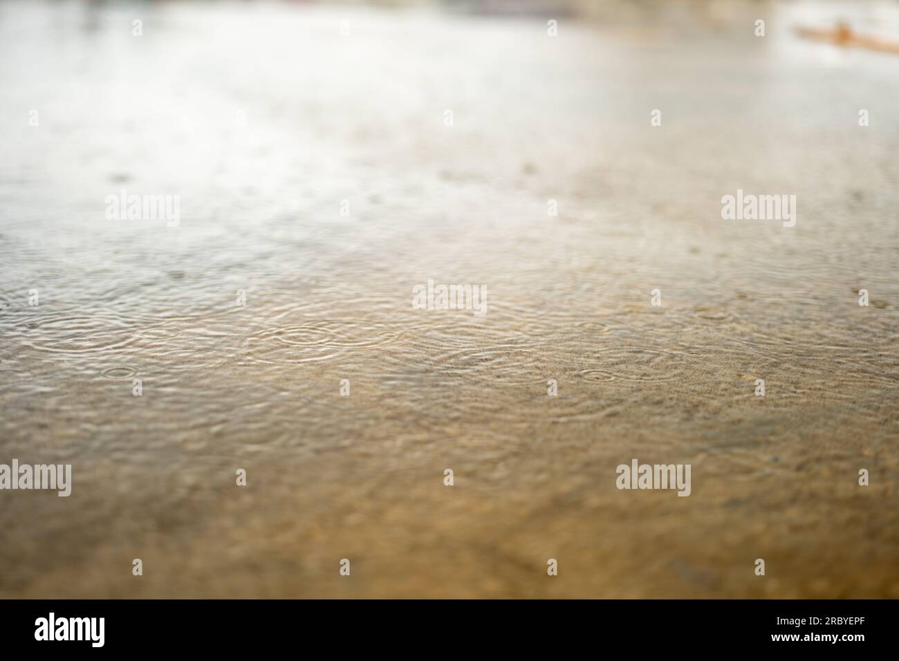 This stock photo shows a close-up of rainwater drops falling onto a ...