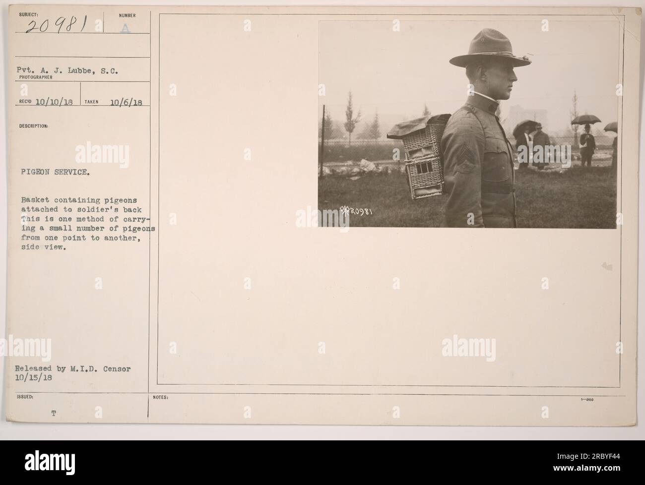 Pvt. A. J. Lubbe participating in the pigeon service during World War ...