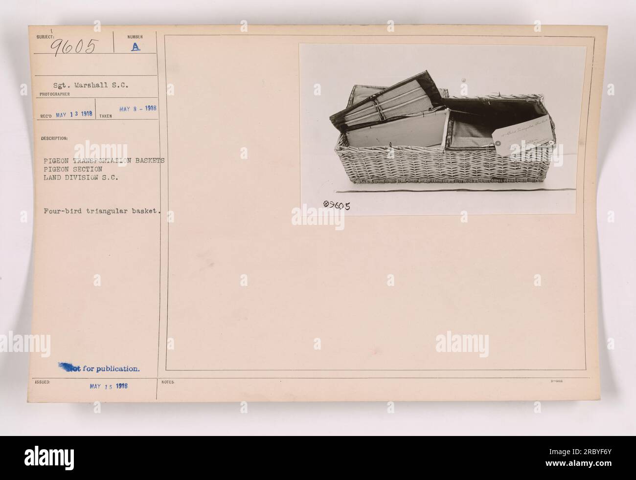 The image shows a four-bird triangular basket used for pigeon ...