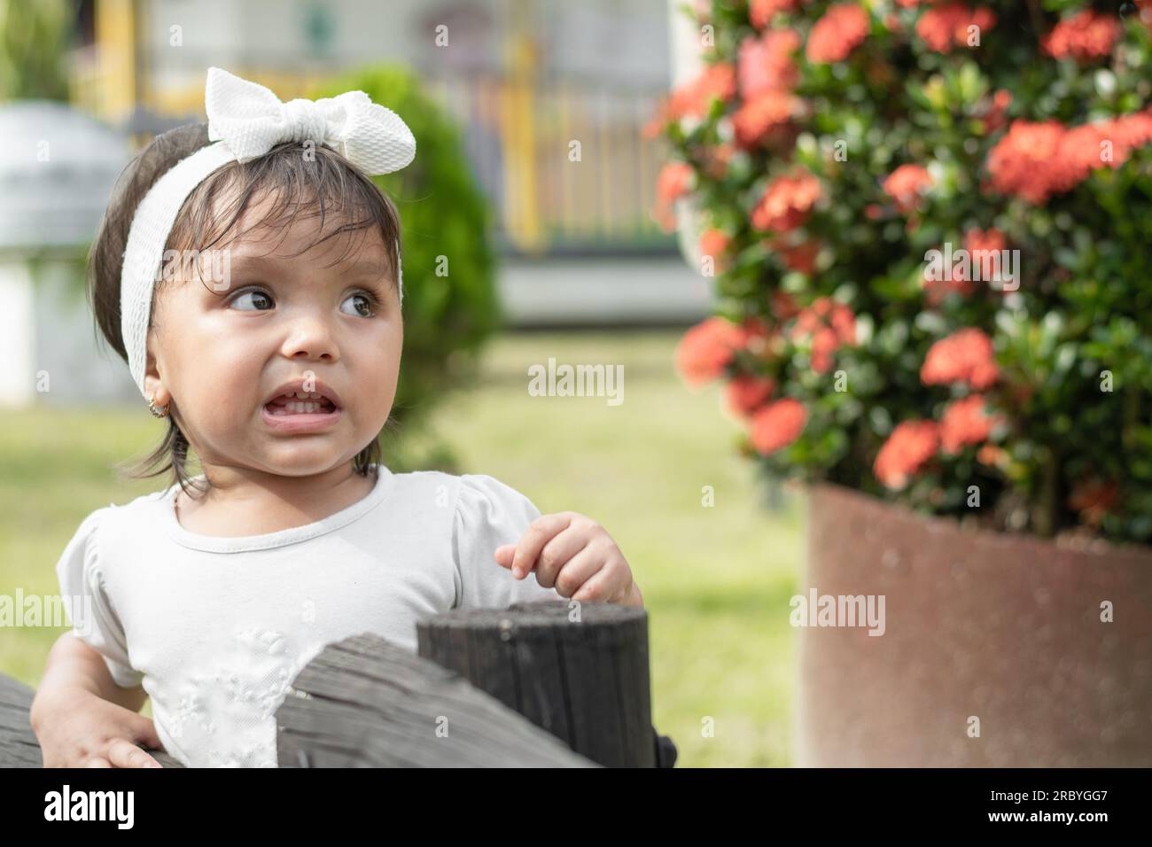 Little brunette girl with a look of surprise and disgust, looking ...