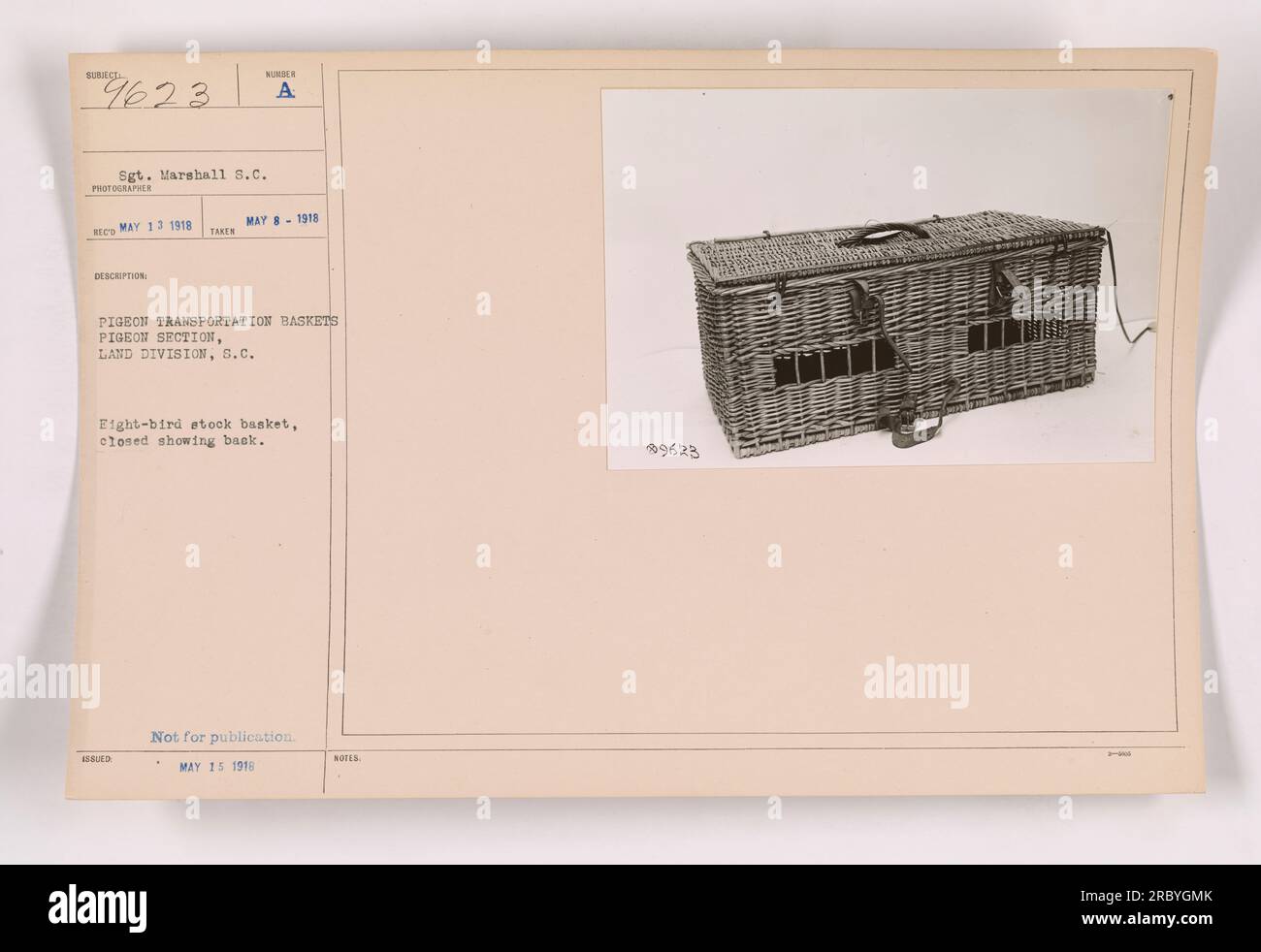 Pigeon attachments hi-res stock photography and images - Alamy