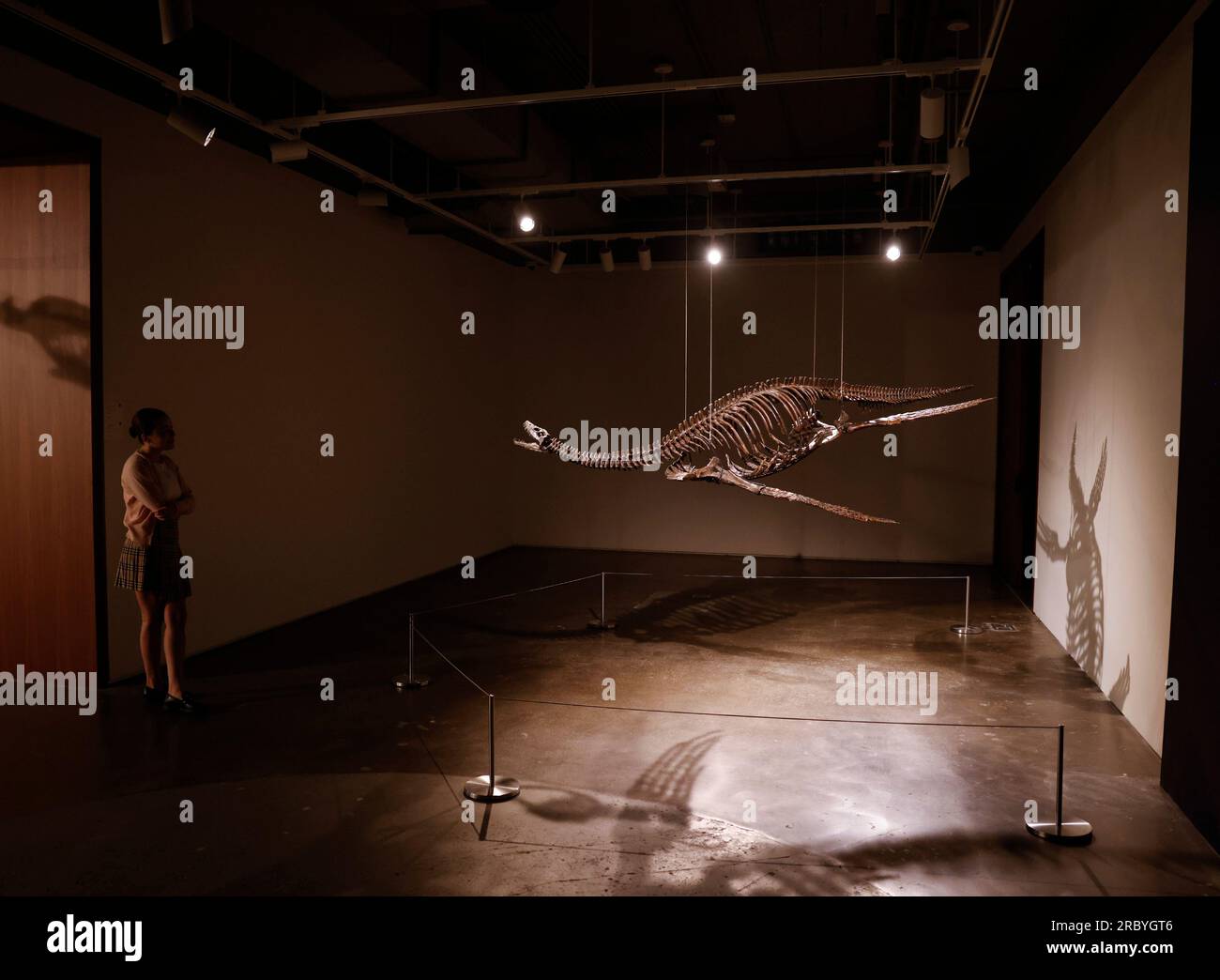 New York, United States. 11th July, 2023. The best-preserved Plesiosaur ...