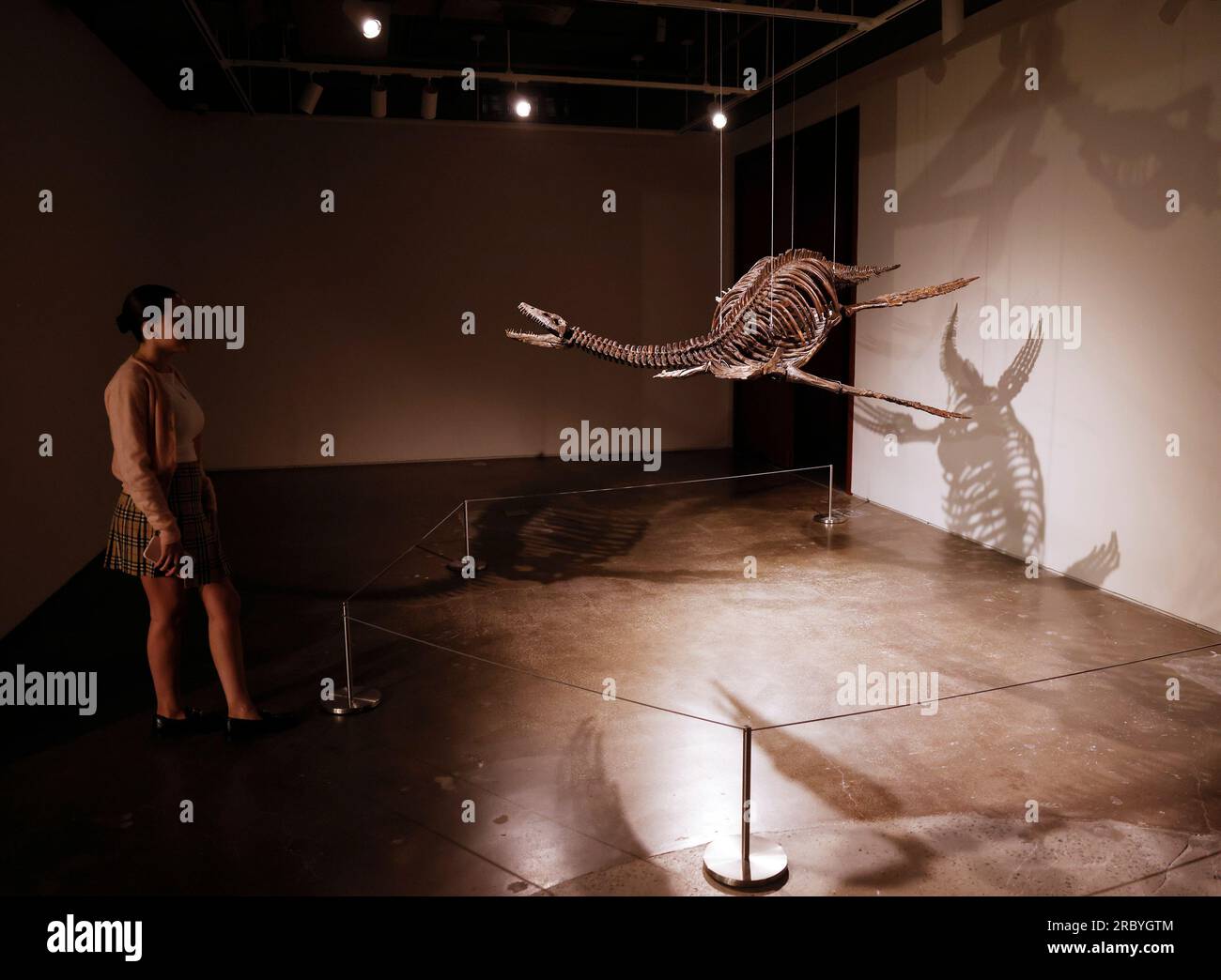 New York, United States. 11th July, 2023. The best-preserved Plesiosaur ...