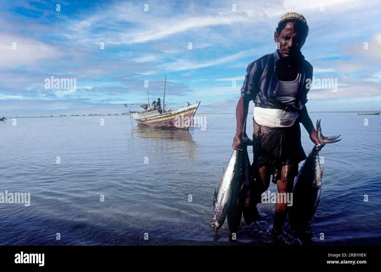 Al khawkhah hi-res stock photography and images - Alamy