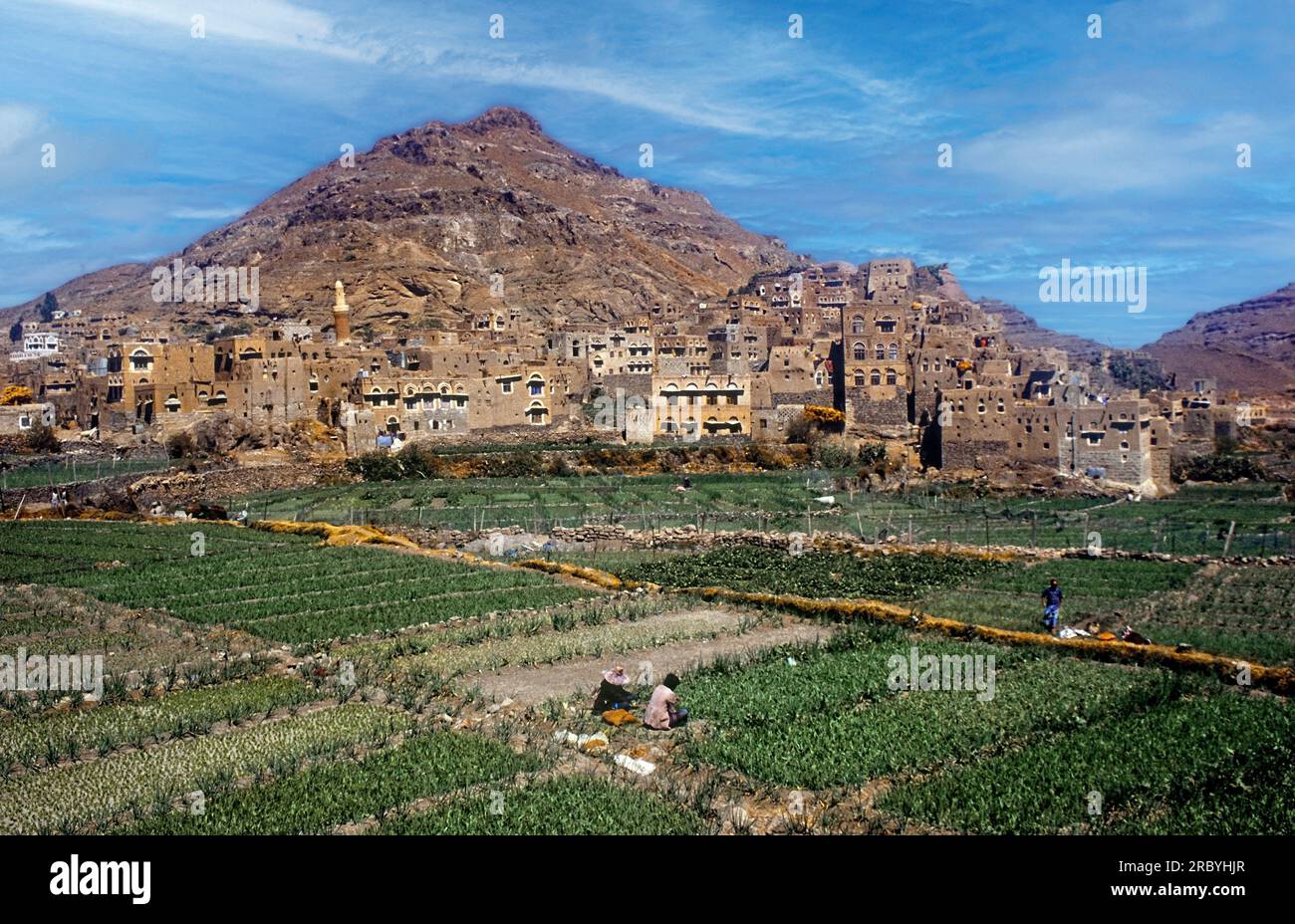 Amran hi-res stock photography and images - Alamy