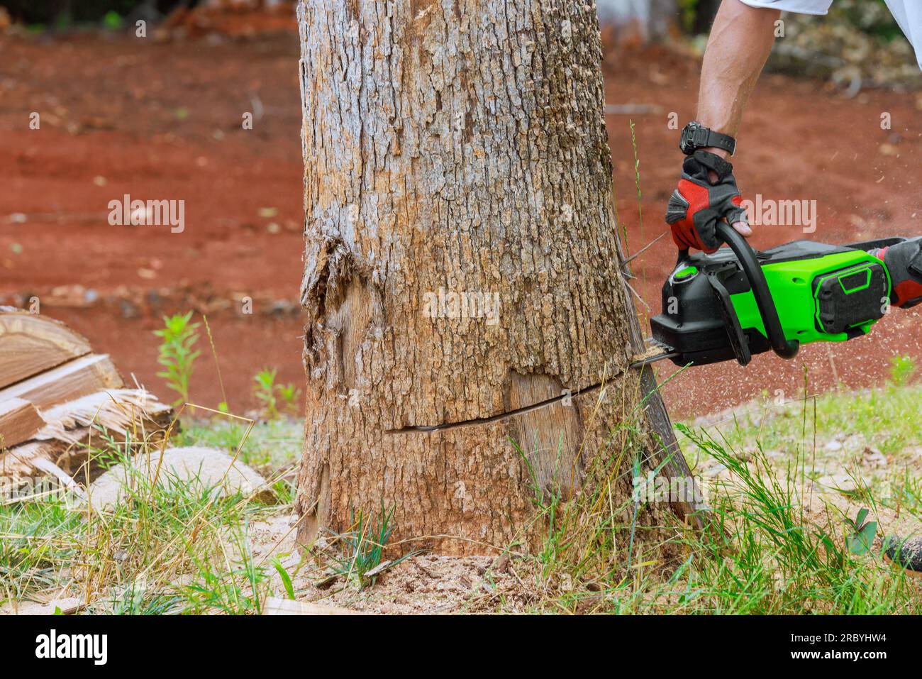 In midst of forest clearing woodcutter could be observed expertly using ...