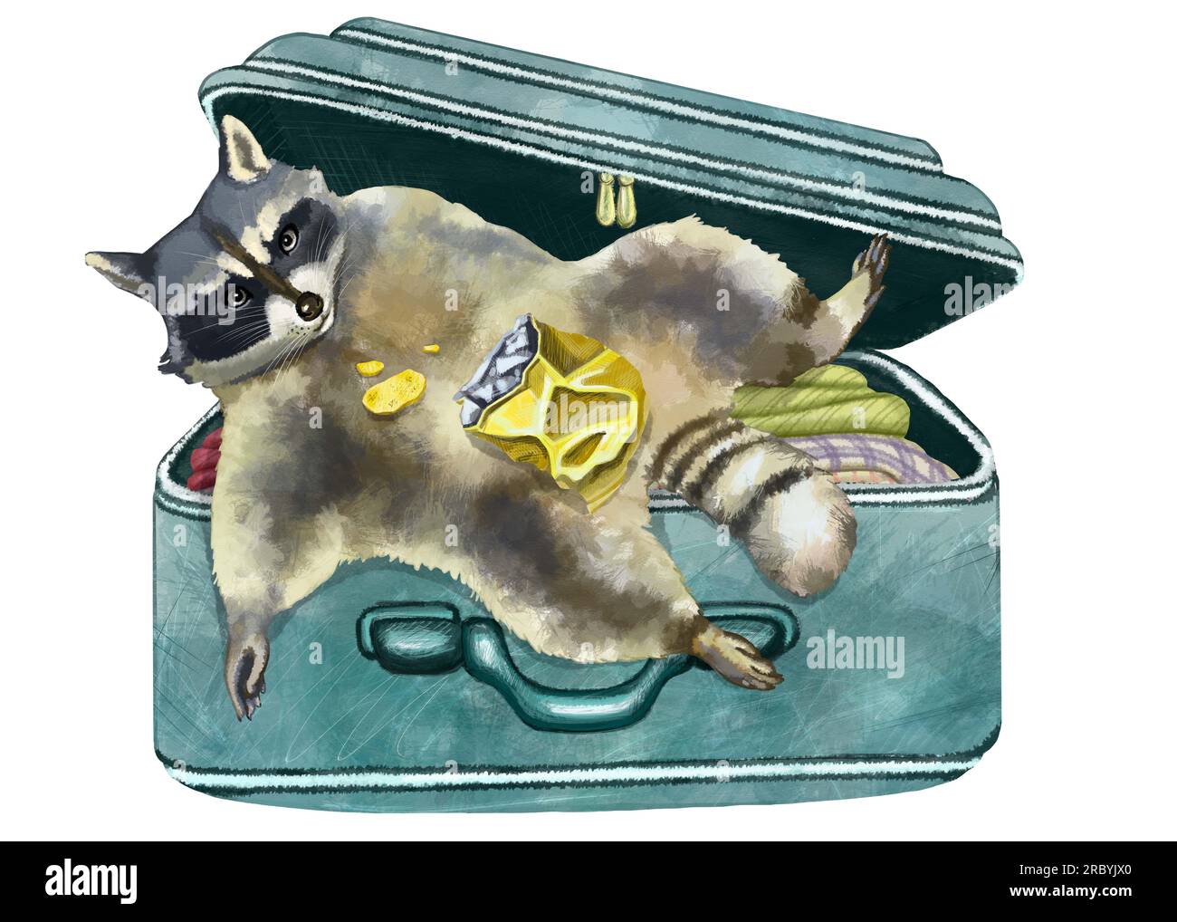 Color illustration of a fat raccoon lazily eating chips. Waiting for a ...