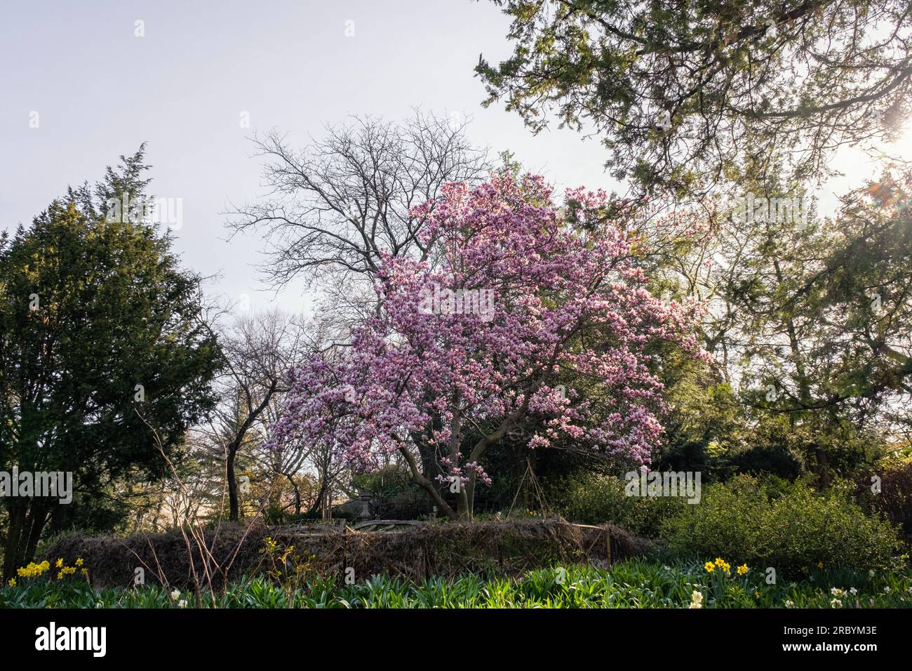 New York, USA - April 13, 2023: View of Manhattan's Central Park in ...