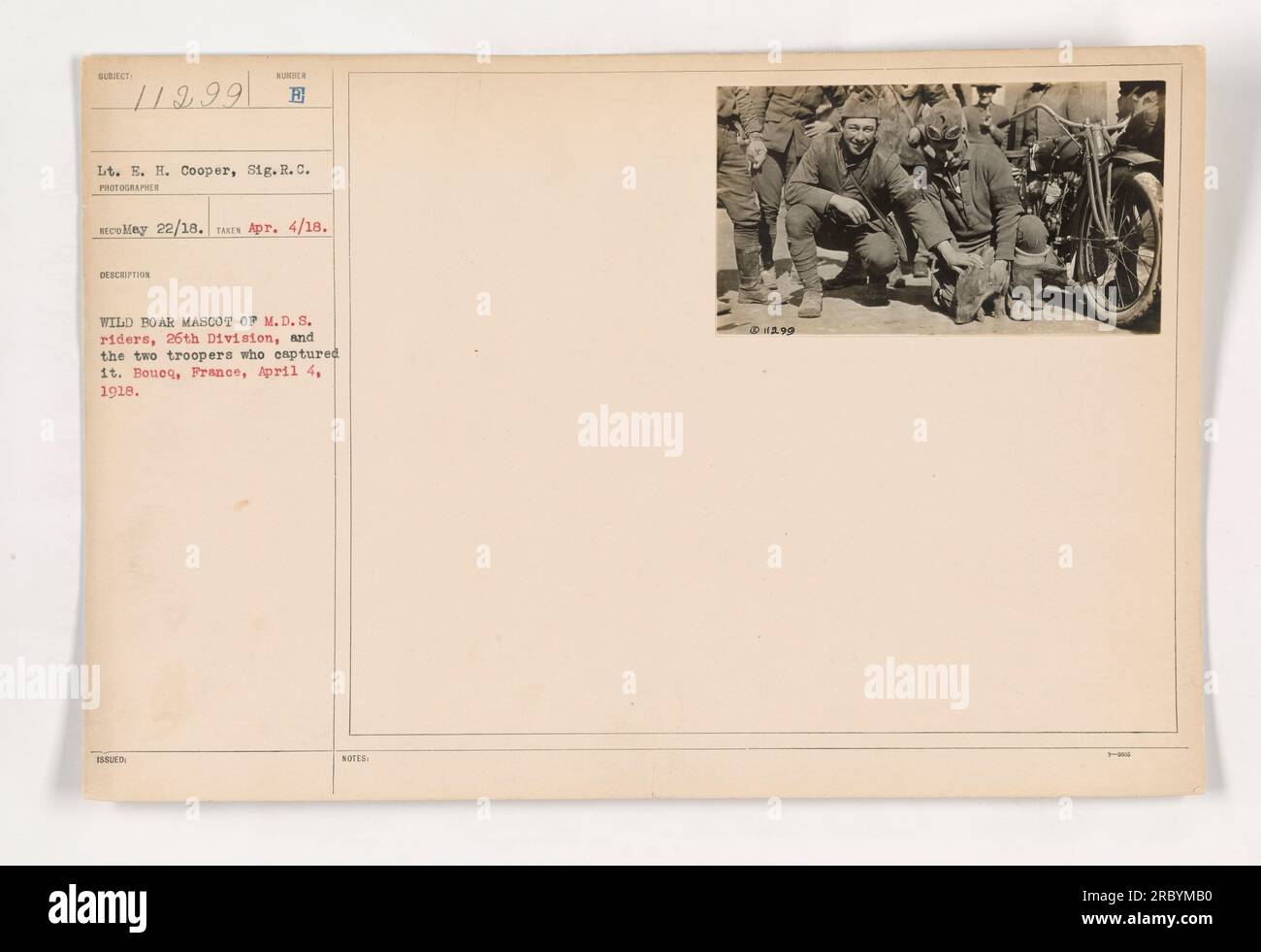 American soldiers capturing wild boar hi-res stock photography and ...